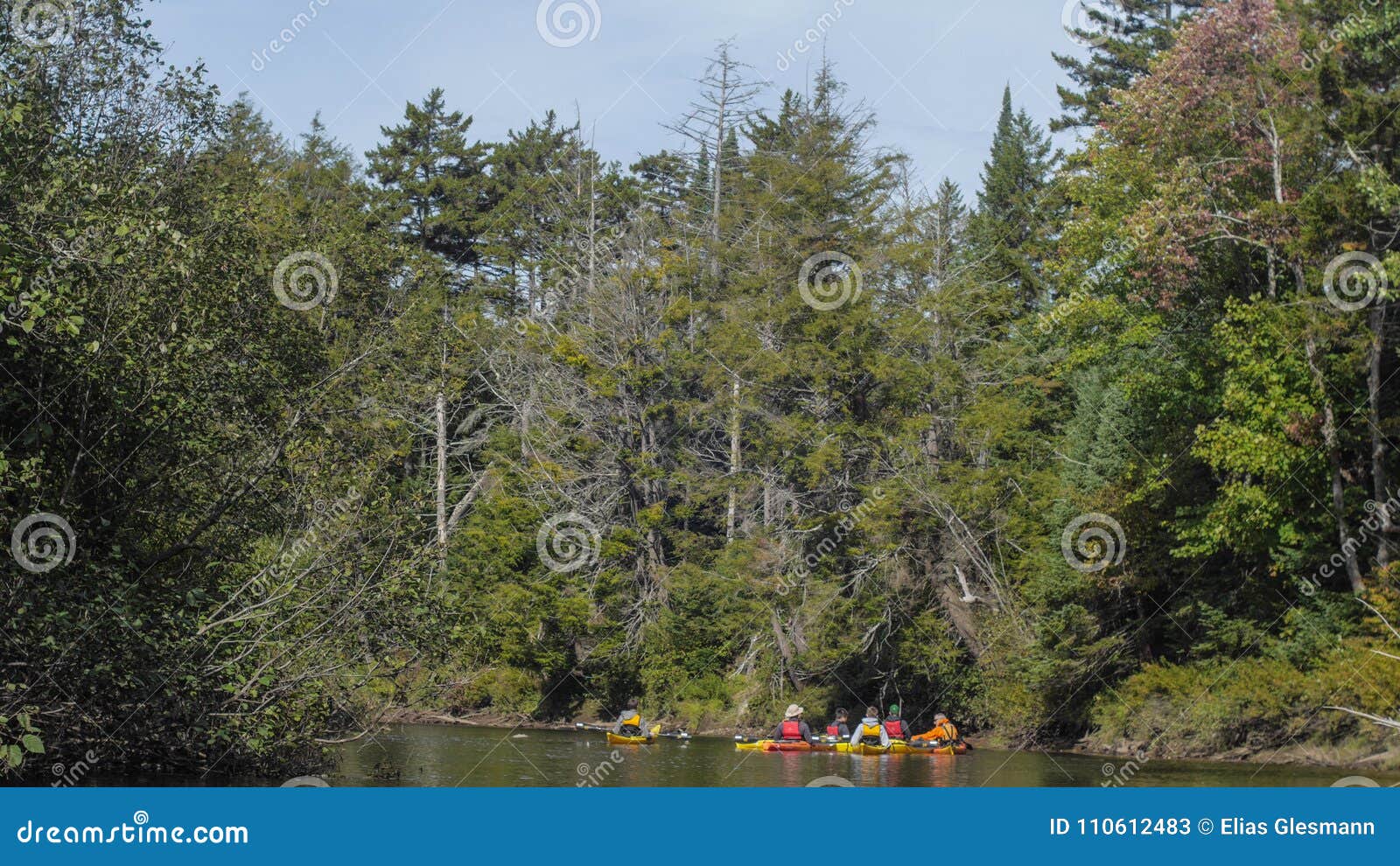 Kayakers on river editorial stock photo. Image of grass - 110612483