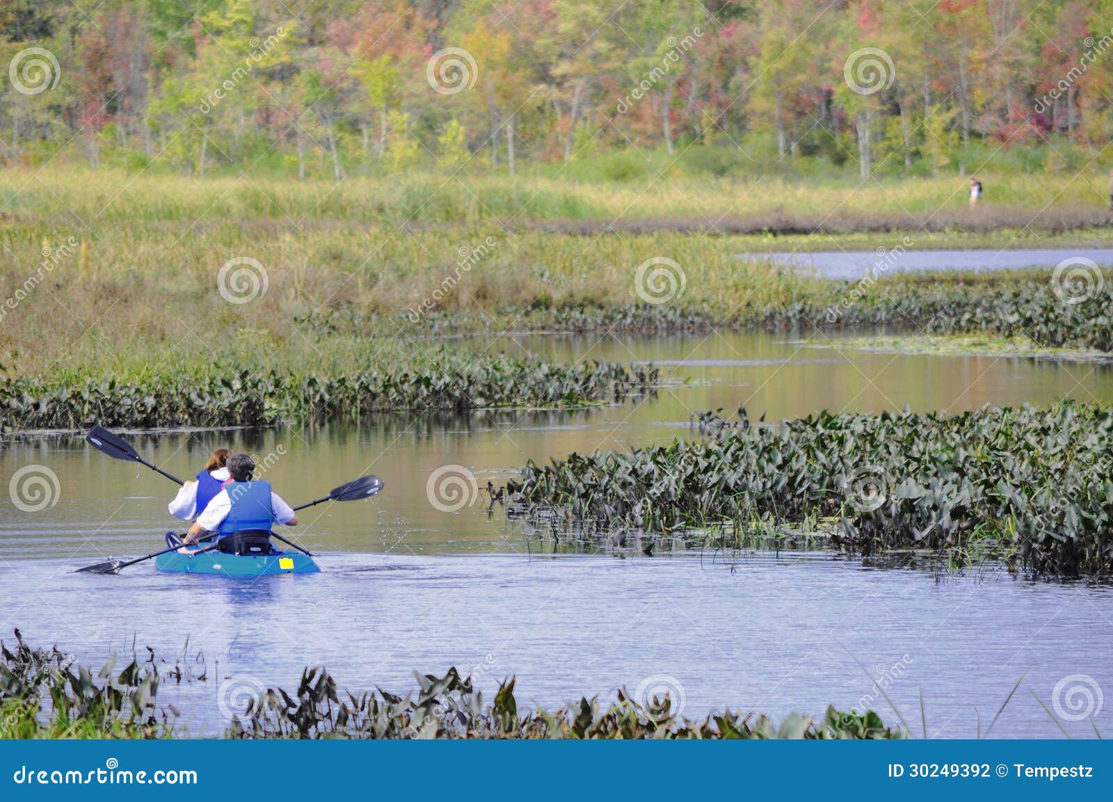 Kayakers on River stock photo. Image of outdoor, rowing - 30249392