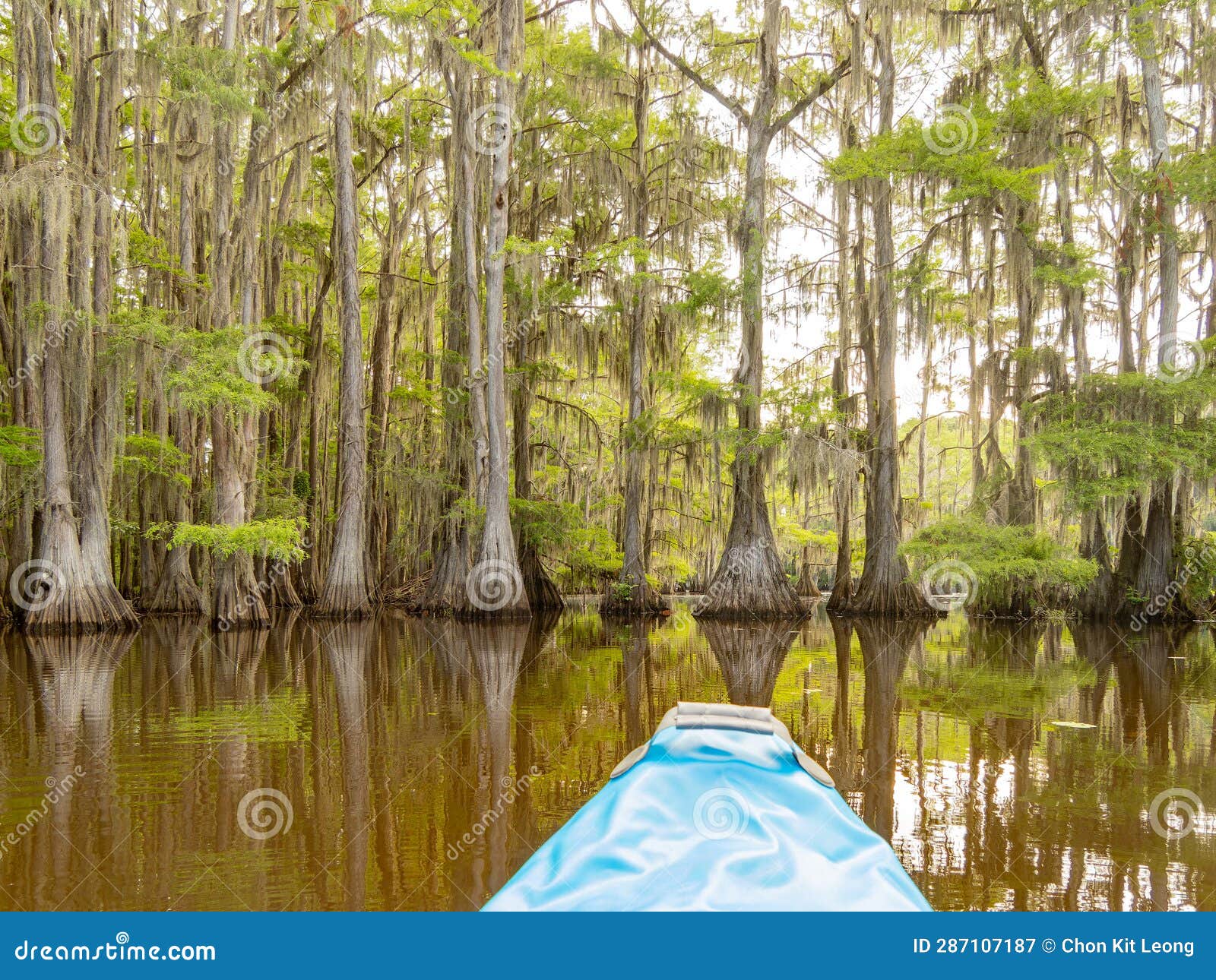 Kayaking in Caddo Lake State Park Stock Image - Image of park, daytime ...
