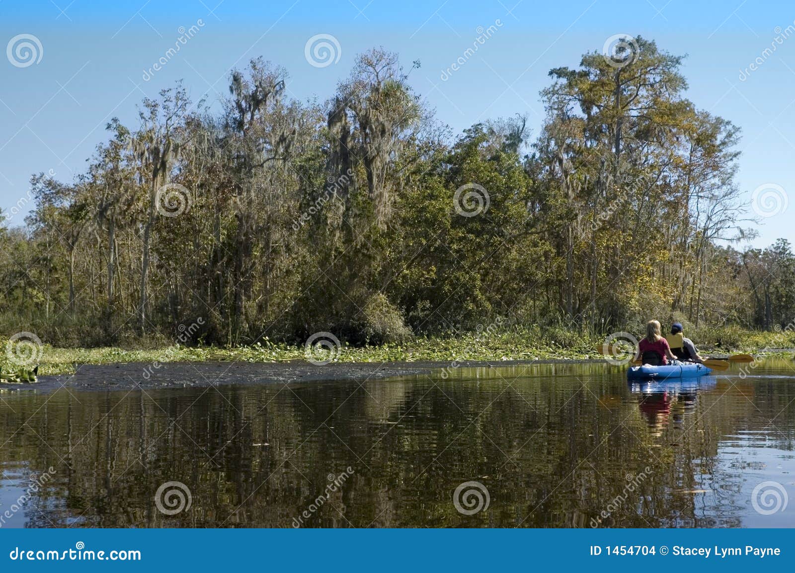 Kayaking the Creek stock photo. Image of moss, vacation - 1454704