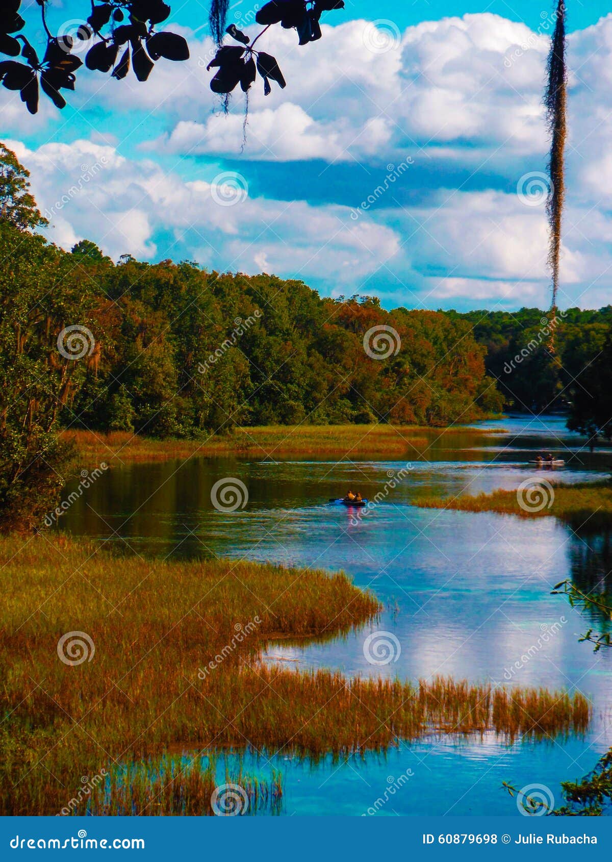 Kayaking down the river stock photo. Image of florida - 60879698