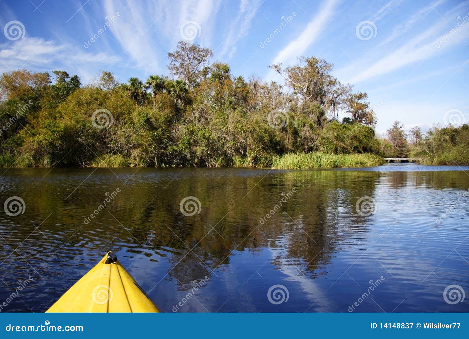 Kayaking the Everglades stock image. Image of adventure - 14148837