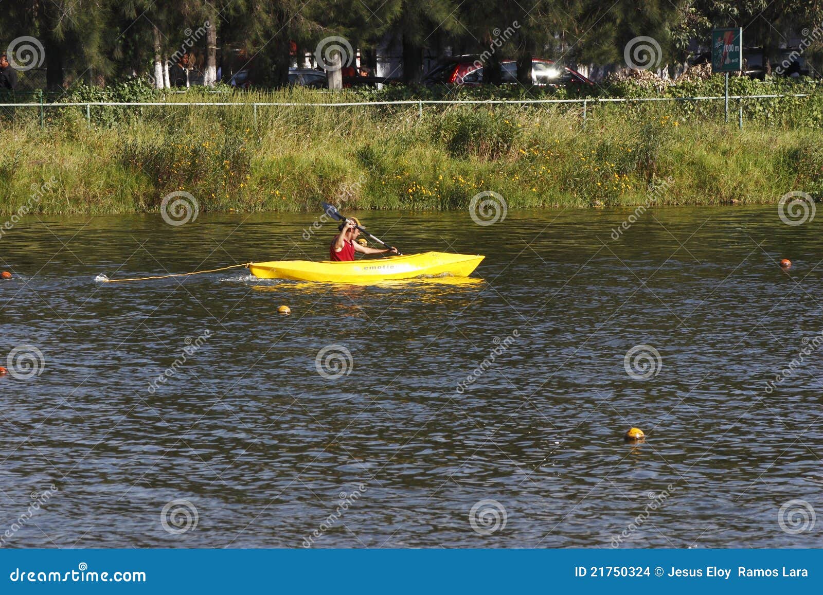 Man Kayaking on the Olympic Paddling Track of Cuemanco, Mexico City I ...