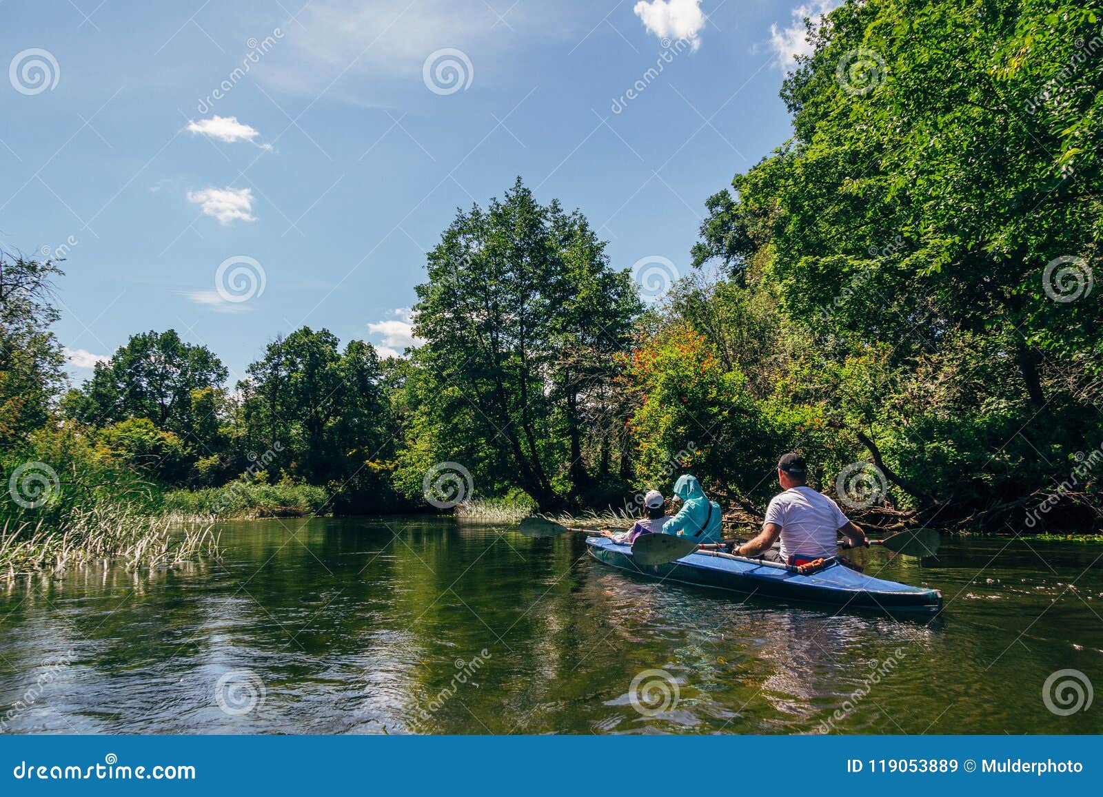 Kayaking on River in Forest Editorial Stock Image - Image of background ...