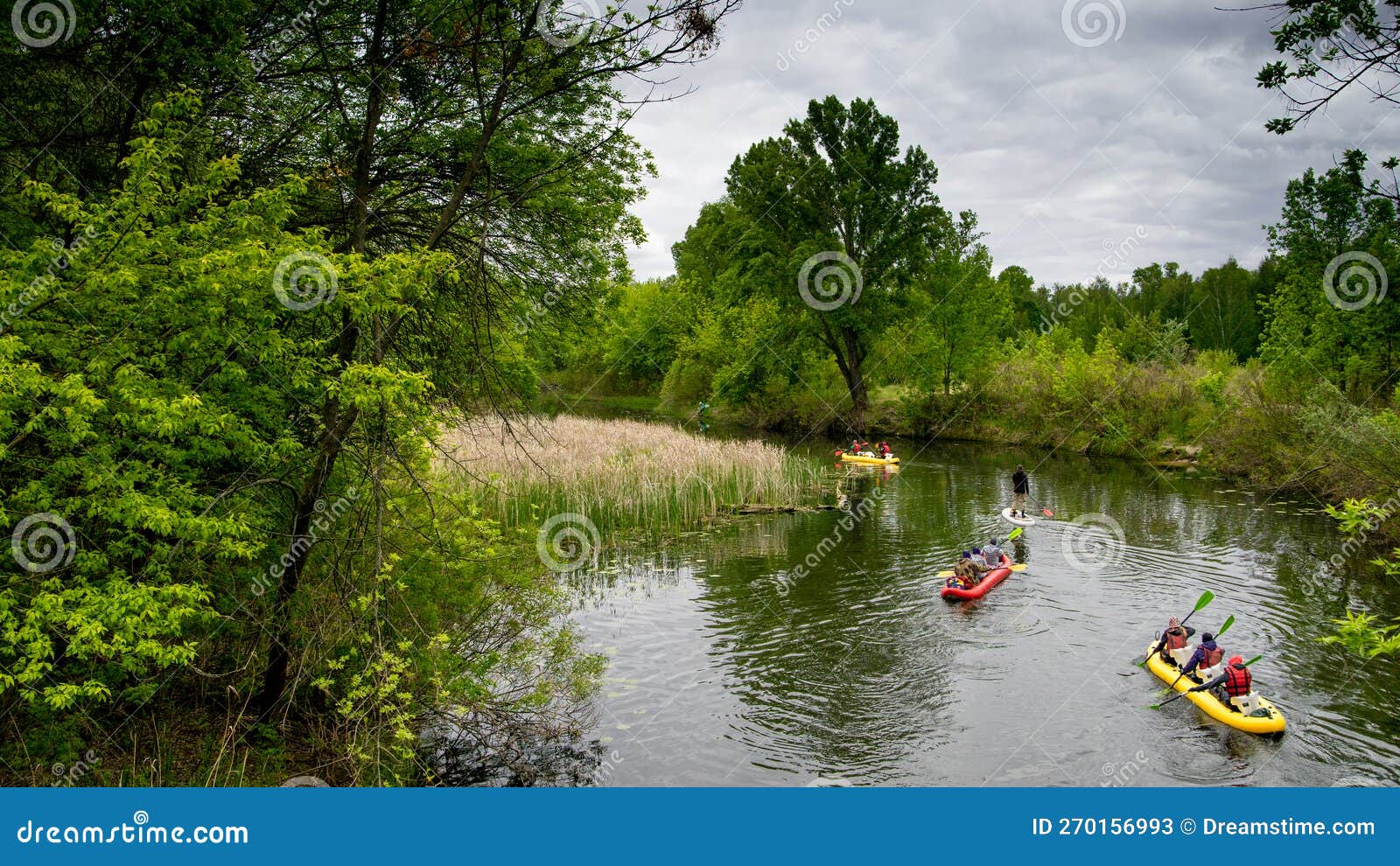 Kayaking on the River. Several Kayaks with Teams on Board Stock Image ...