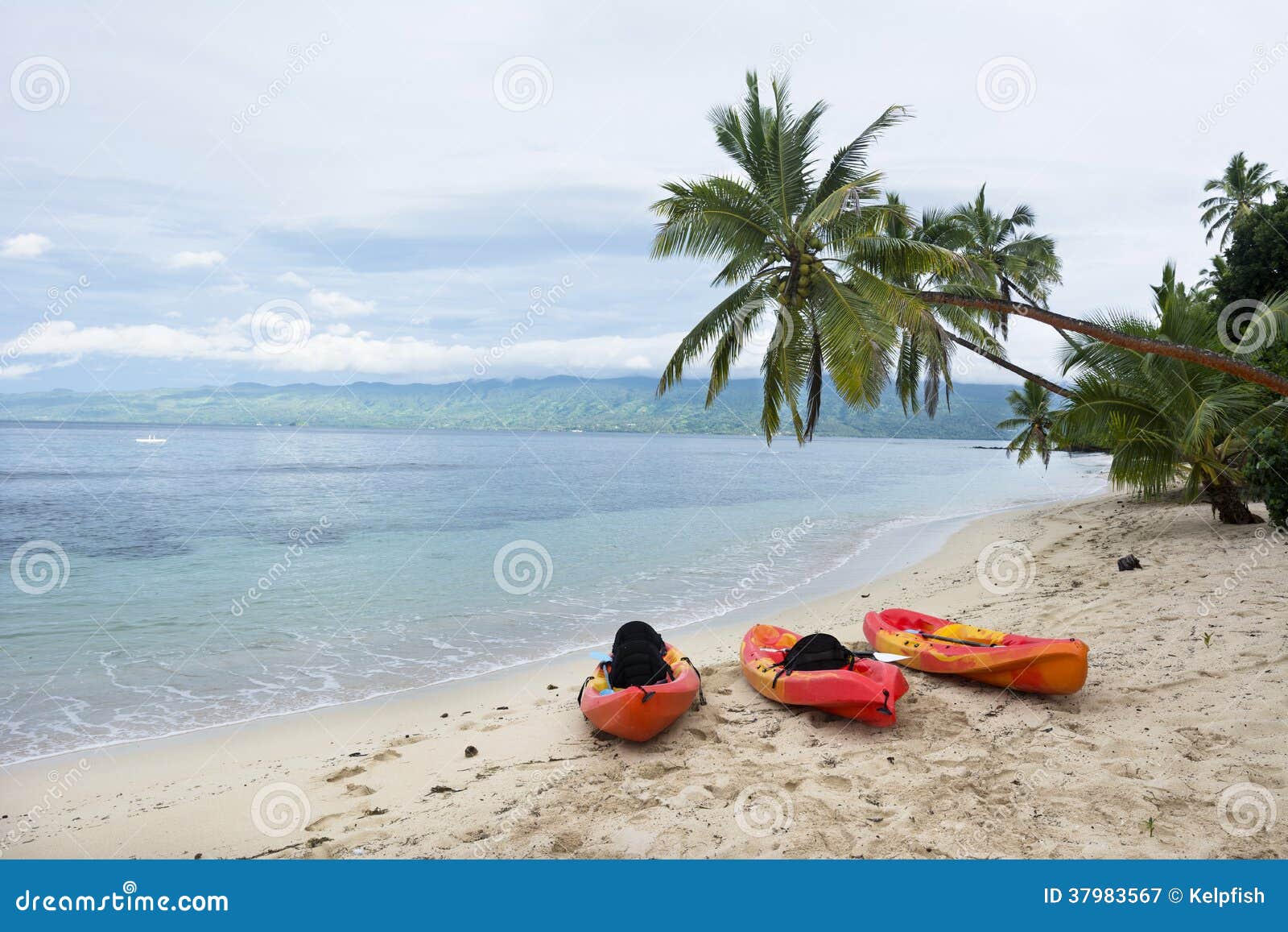 Kayaks on tropical beach stock image. Image of paradise - 37983567
