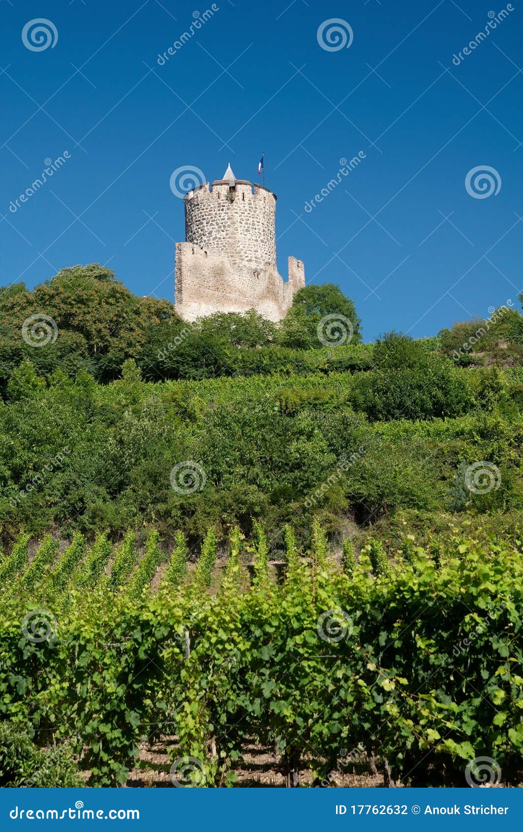 Kaysersberg Castle, Alsace stock photo. Image of france - 17762632
