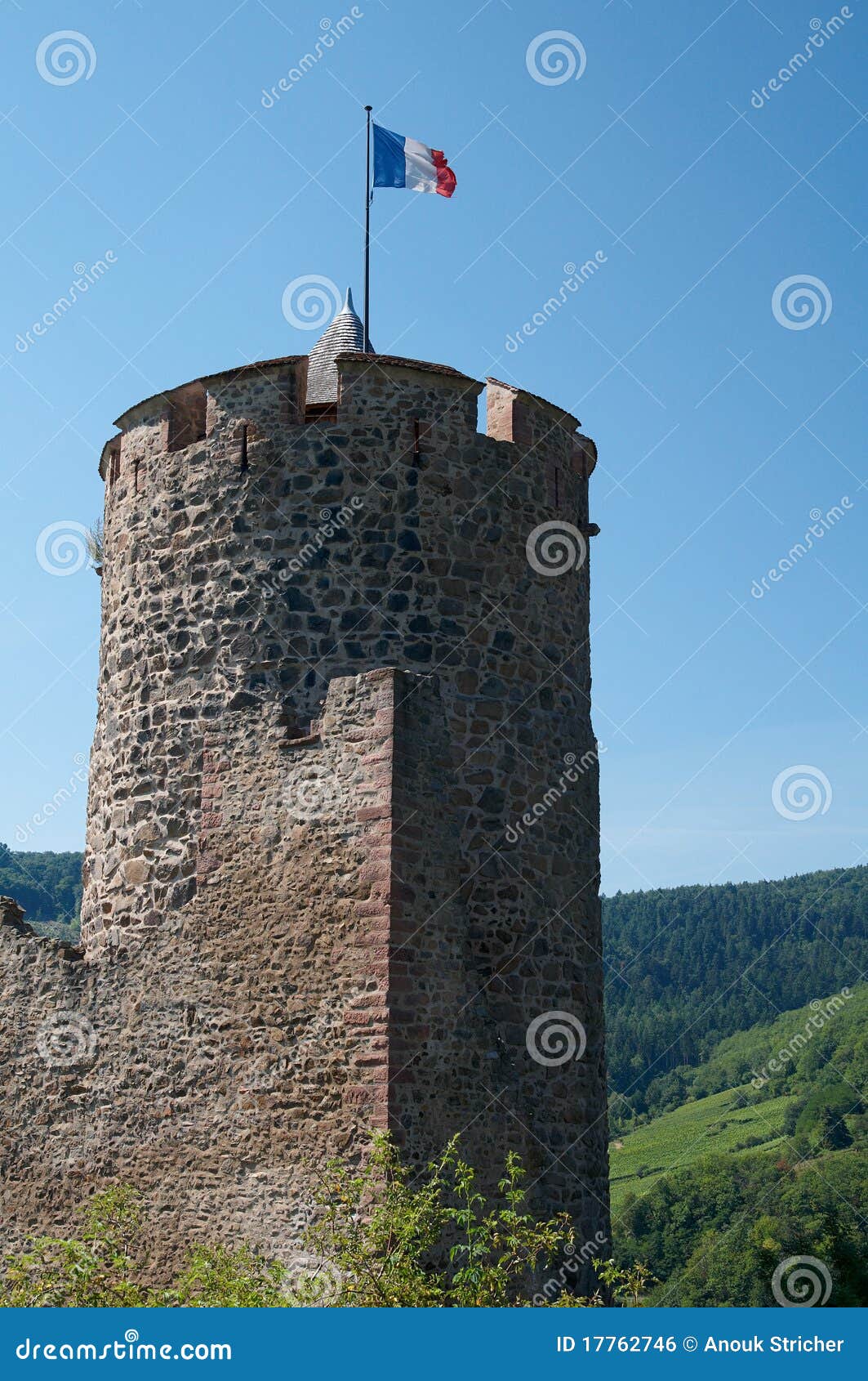 Kaysersberg Castle, Alsace stock photo. Image of vineyard - 17762746