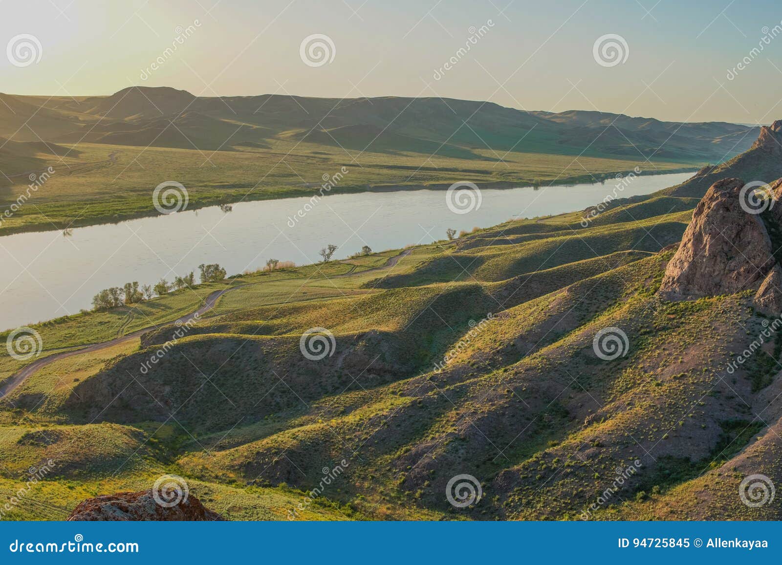 Beautiful Big Steppe Viper Vipera Renardi. Close Up Stock Photo ...