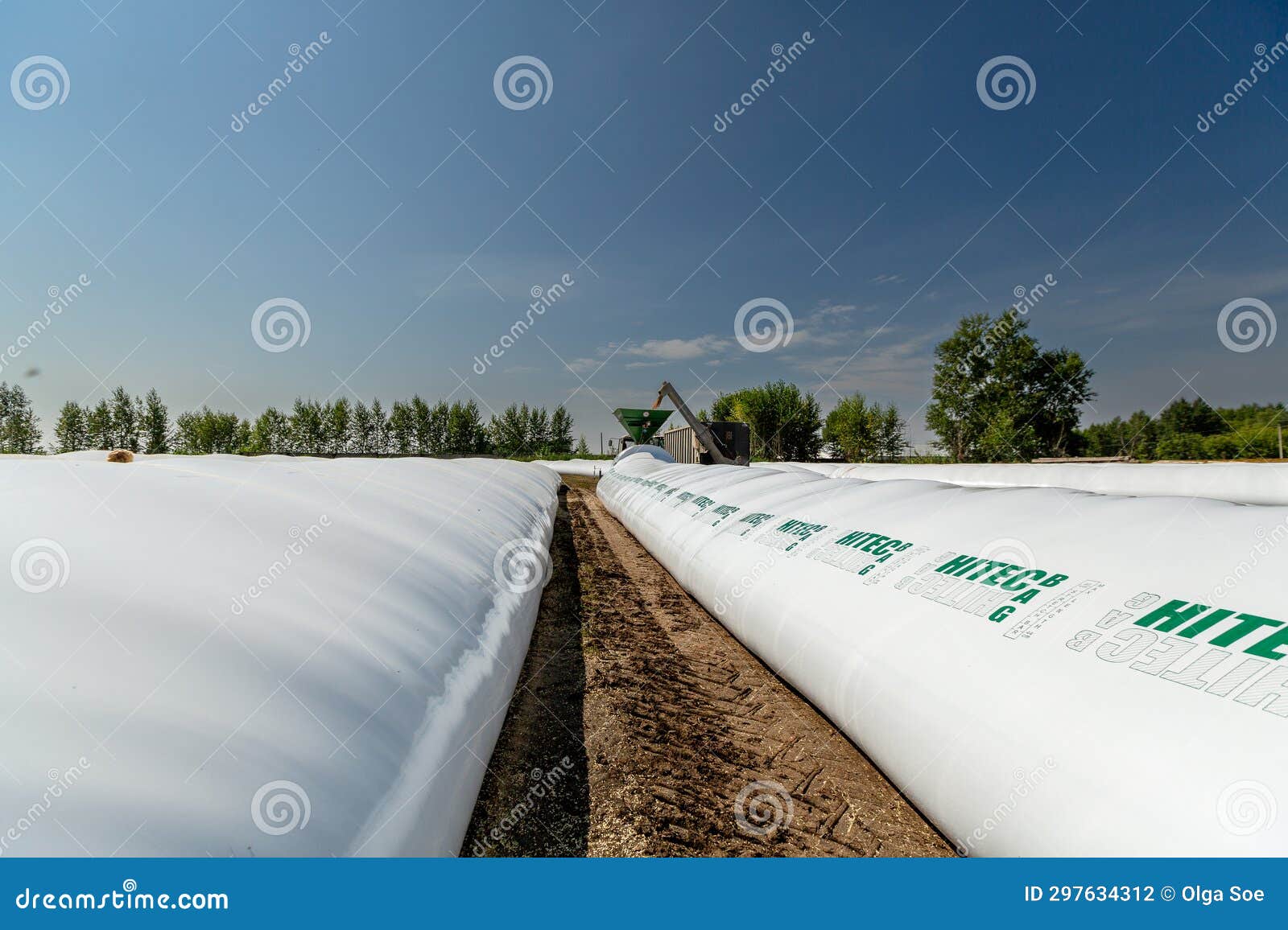 Kazan, Russia - August 5, 2020: Grain is Loaded into a Polyethylene ...
