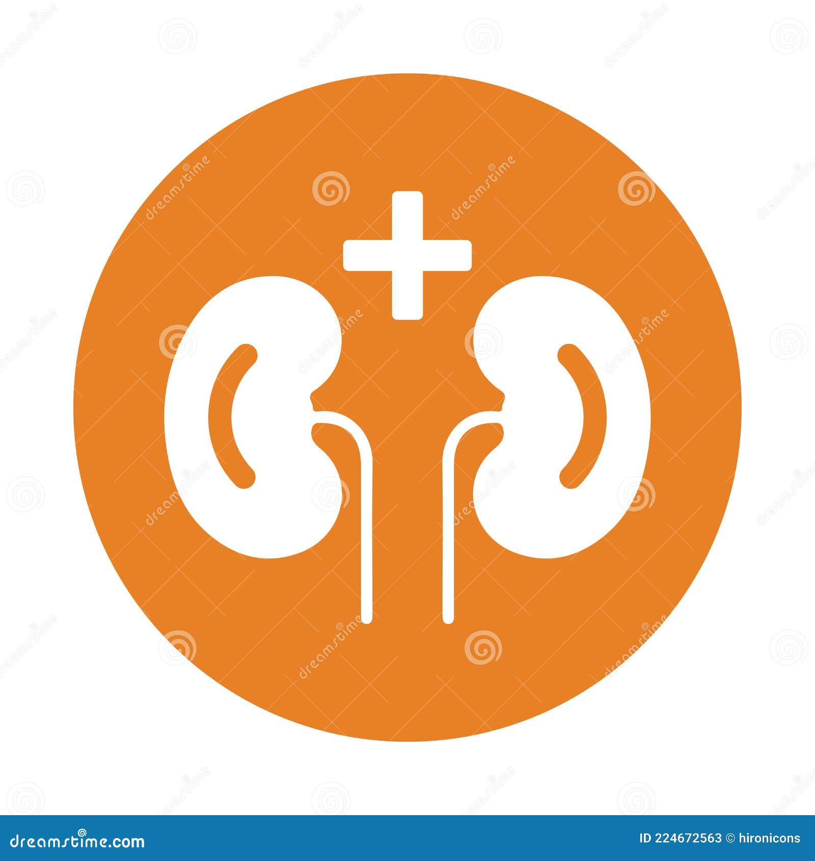 Kdneys, Nephrology Icon. Blue Color Design Vector Illustration ...