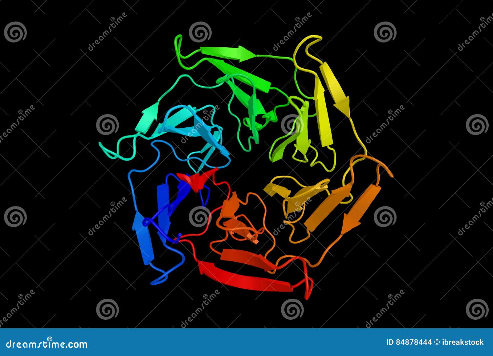 KEAP1, a Protein Which Has Been Shown To Interact with Nrf2 Stock ...