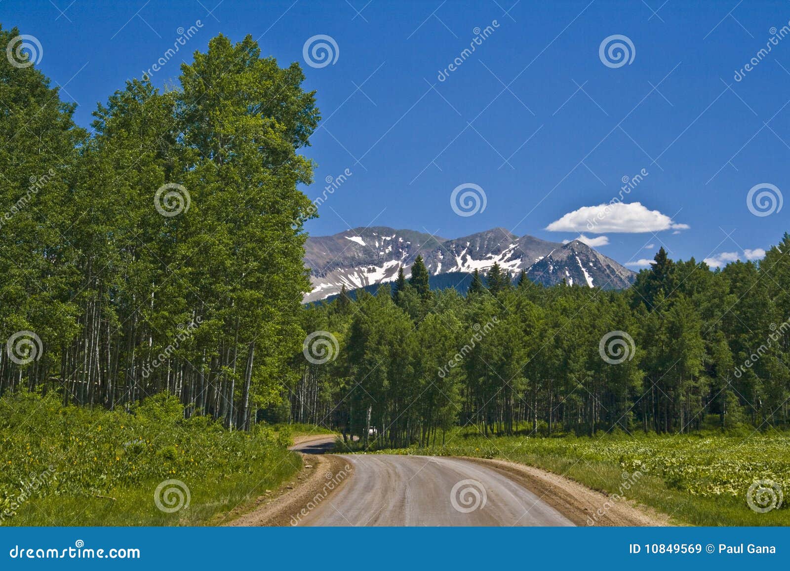 Kebler Pass stock image. Image of aspens, blue, country - 10849569