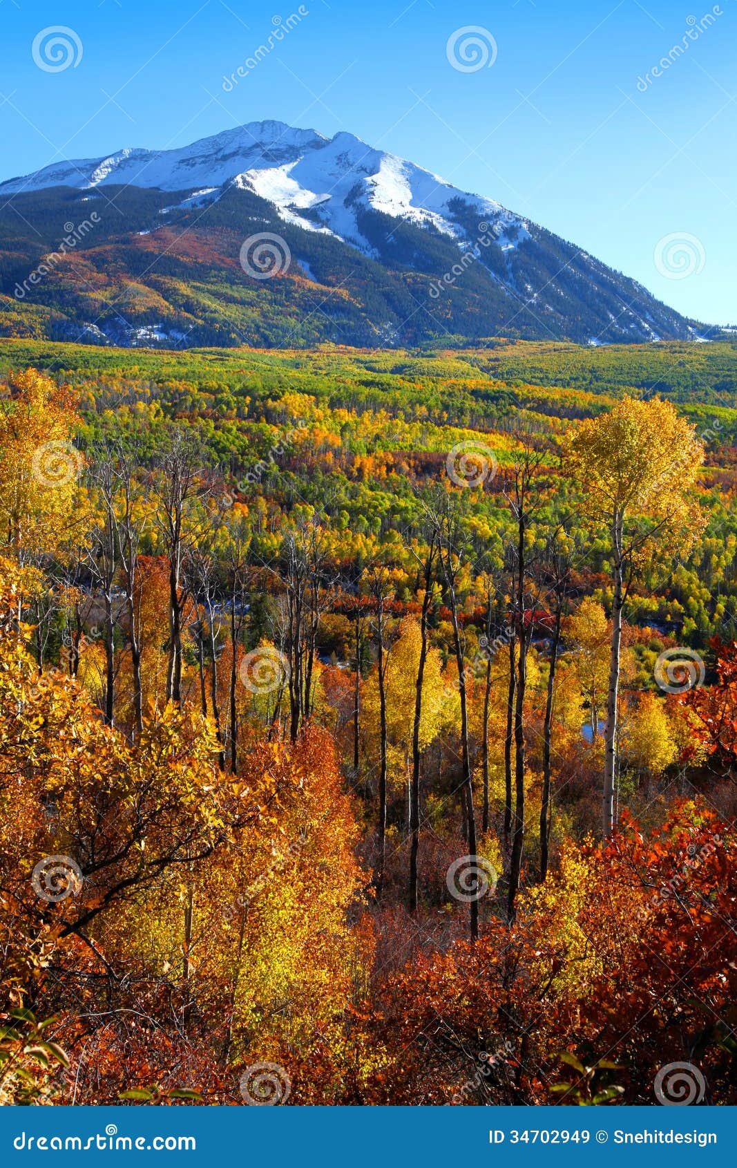 Kebler Pass Royalty-Free Stock Image | CartoonDealer.com #61178800