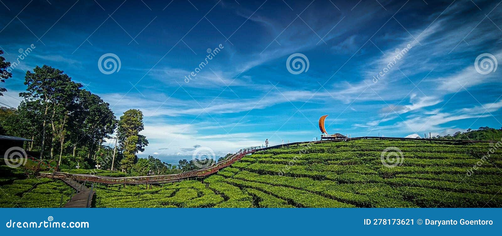 Kebun Teh Gambir stock image. Image of outdoor, kebun - 278173621