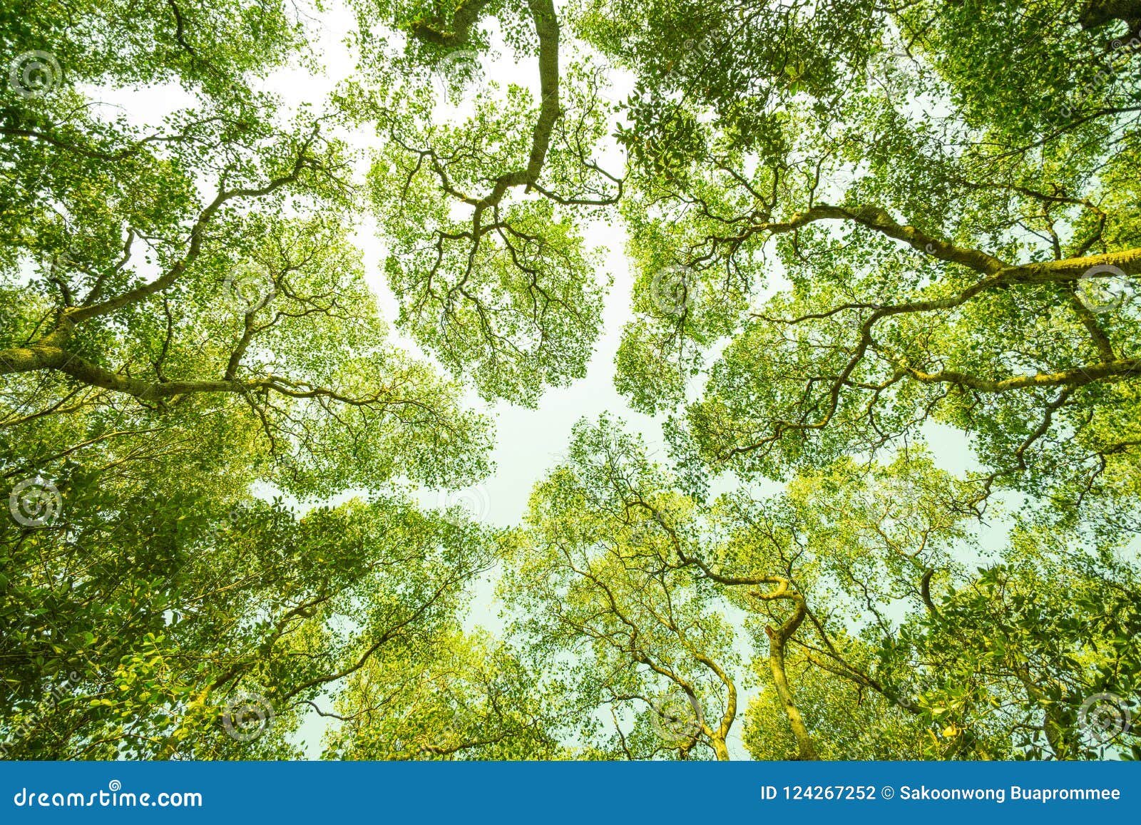 Keep the distance stock photo. Image of phenomenon, distance - 124267252