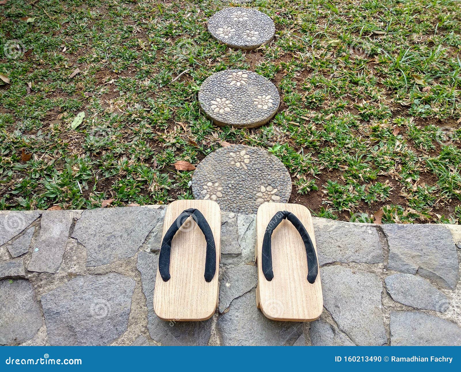 Straight Wet Steps With Algae And Mold - Poor Indoor Environment ...