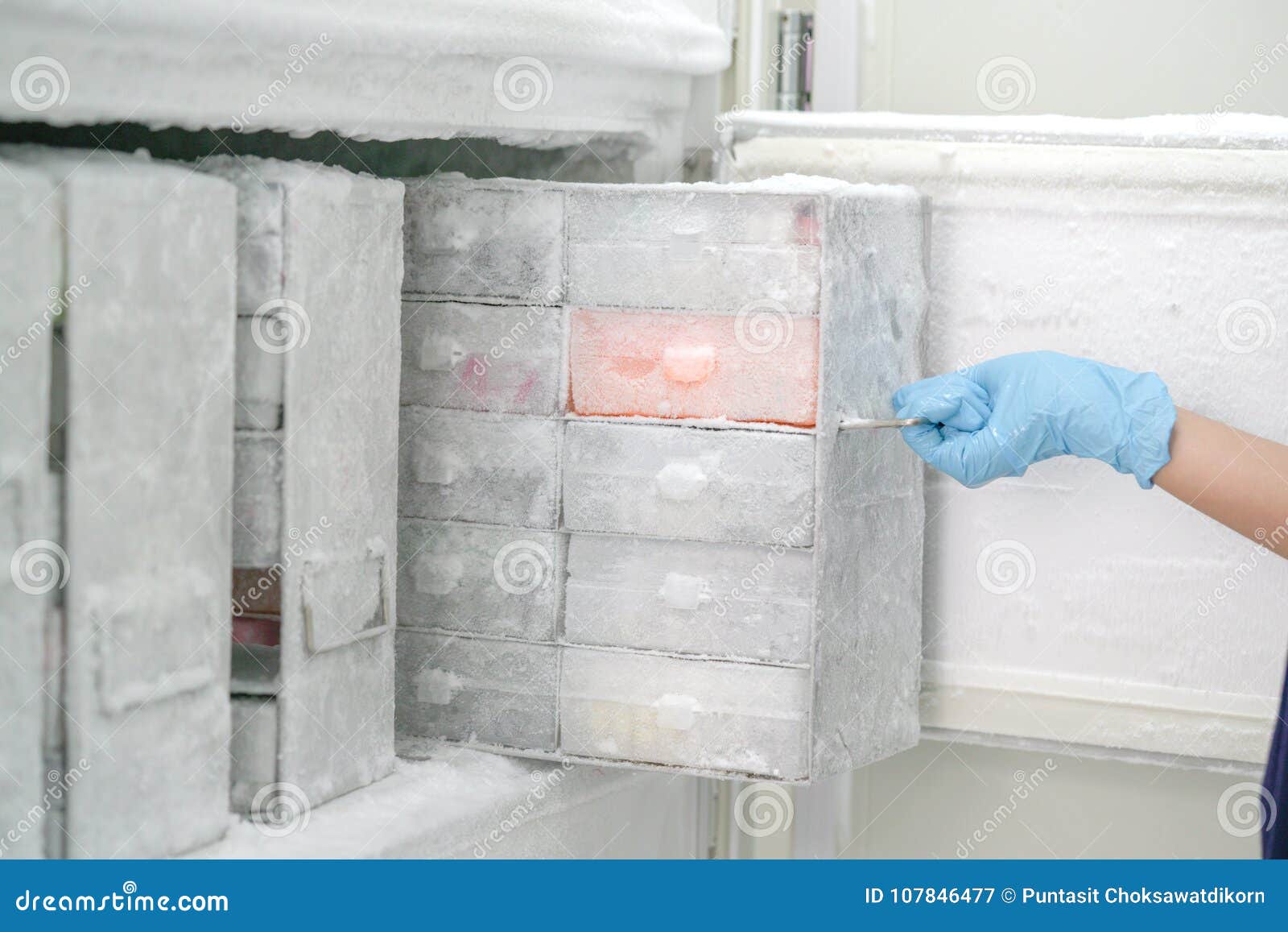 Keep Isolated Pathogen in Ultra Low Temperature Stock Image - Image of ...