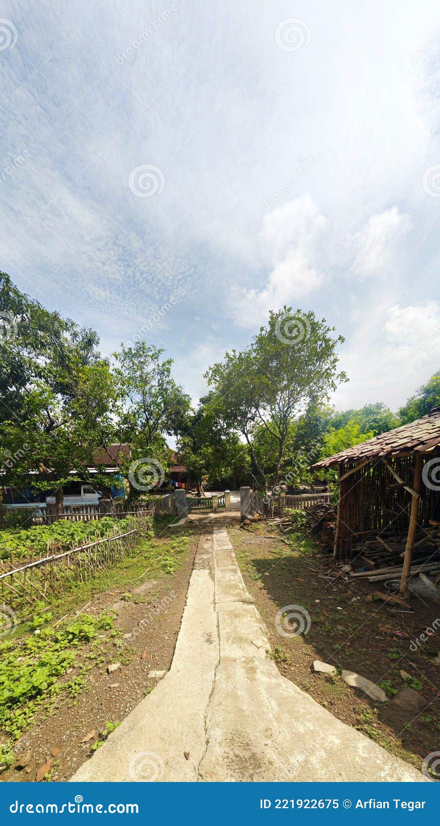 Keep looking ahead stock image. Image of village, agriculture - 221922675