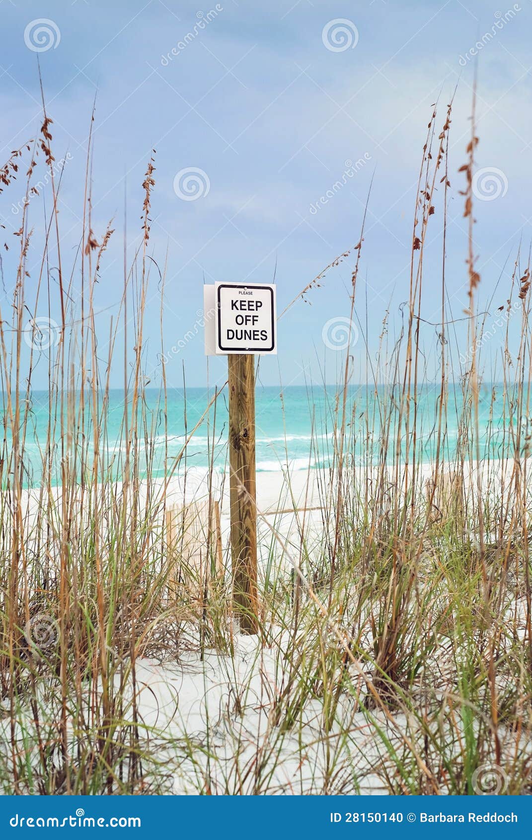 Keep Off Dunes Sign on Beautiful Florida Beach Stock Photo - Image of ...