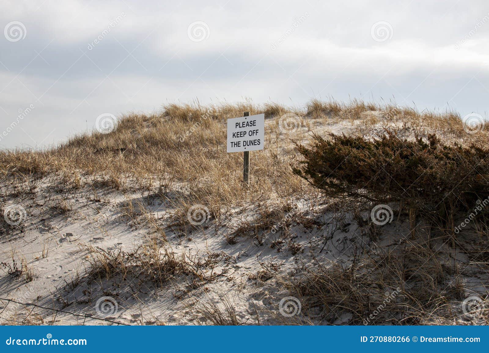 Keep Off the Dunes Sign on a Sand Dune with Grass and Bushes Stock ...