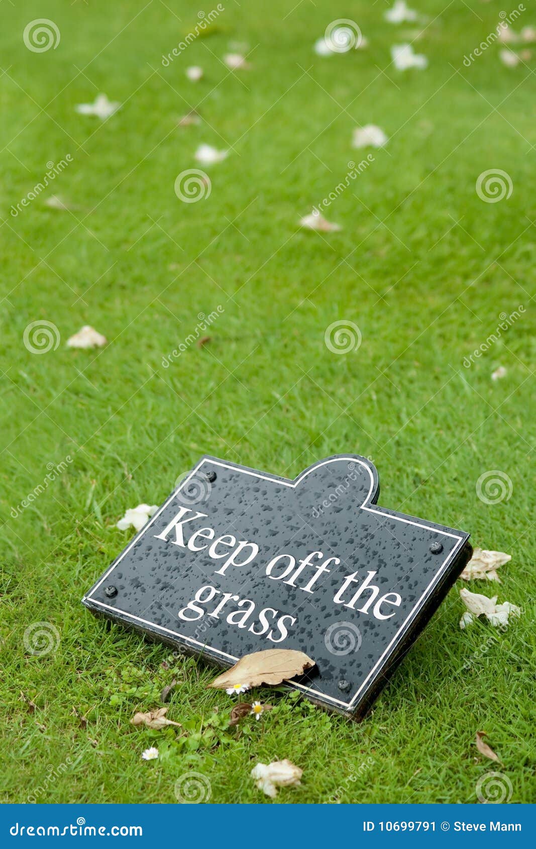 Keep off the grass stock image. Image of notice, information - 10699791