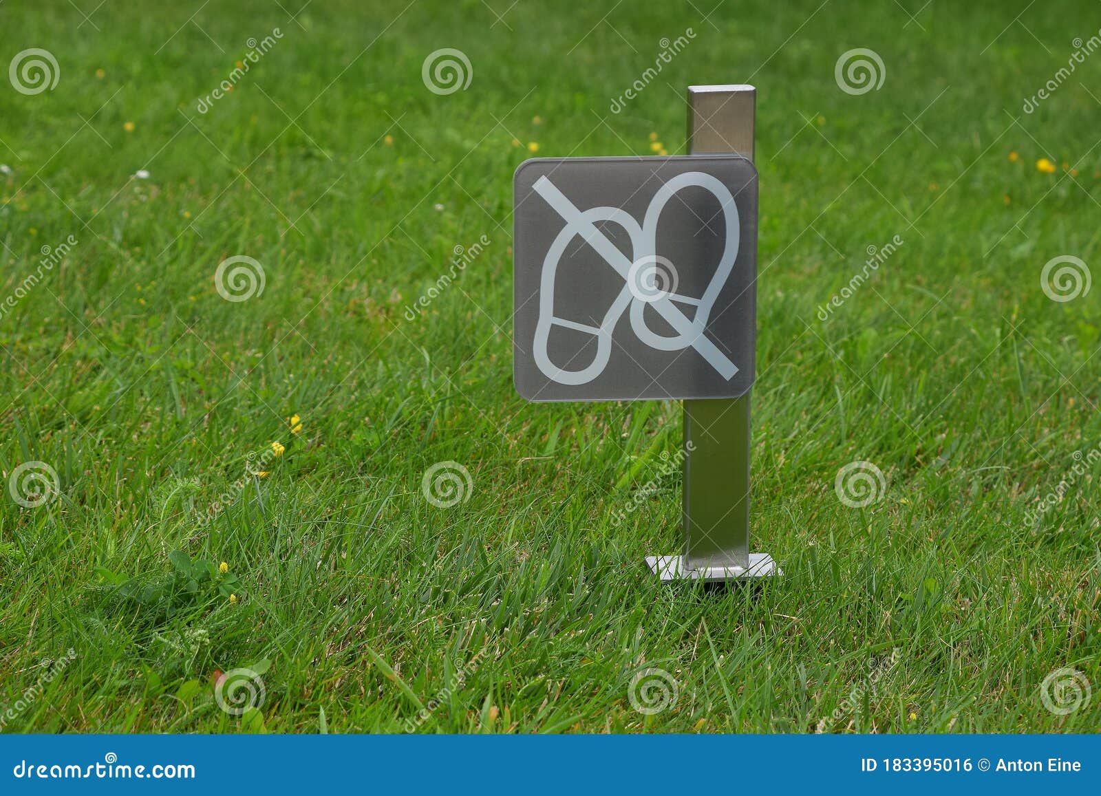 Keep Off the Grass Warning Sign Over Green Lawn Stock Photo - Image of ...