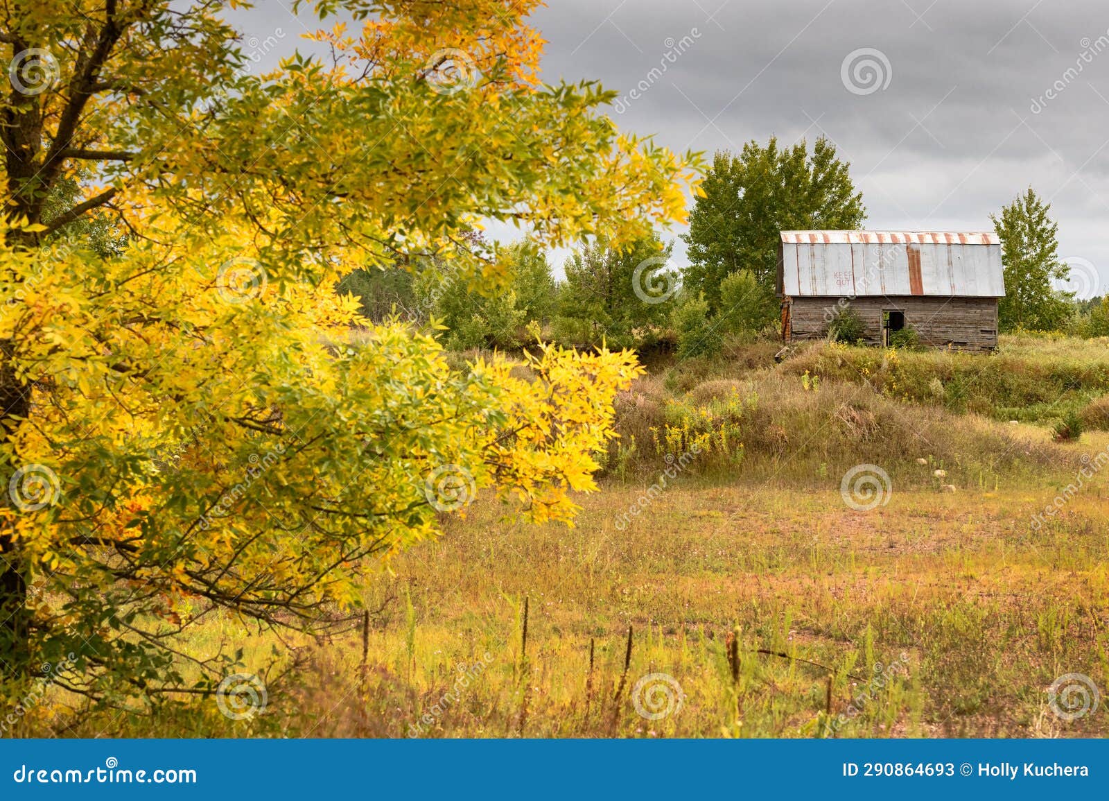 Keep Out Barn Tree on Left stock image. Image of rusty - 290864693