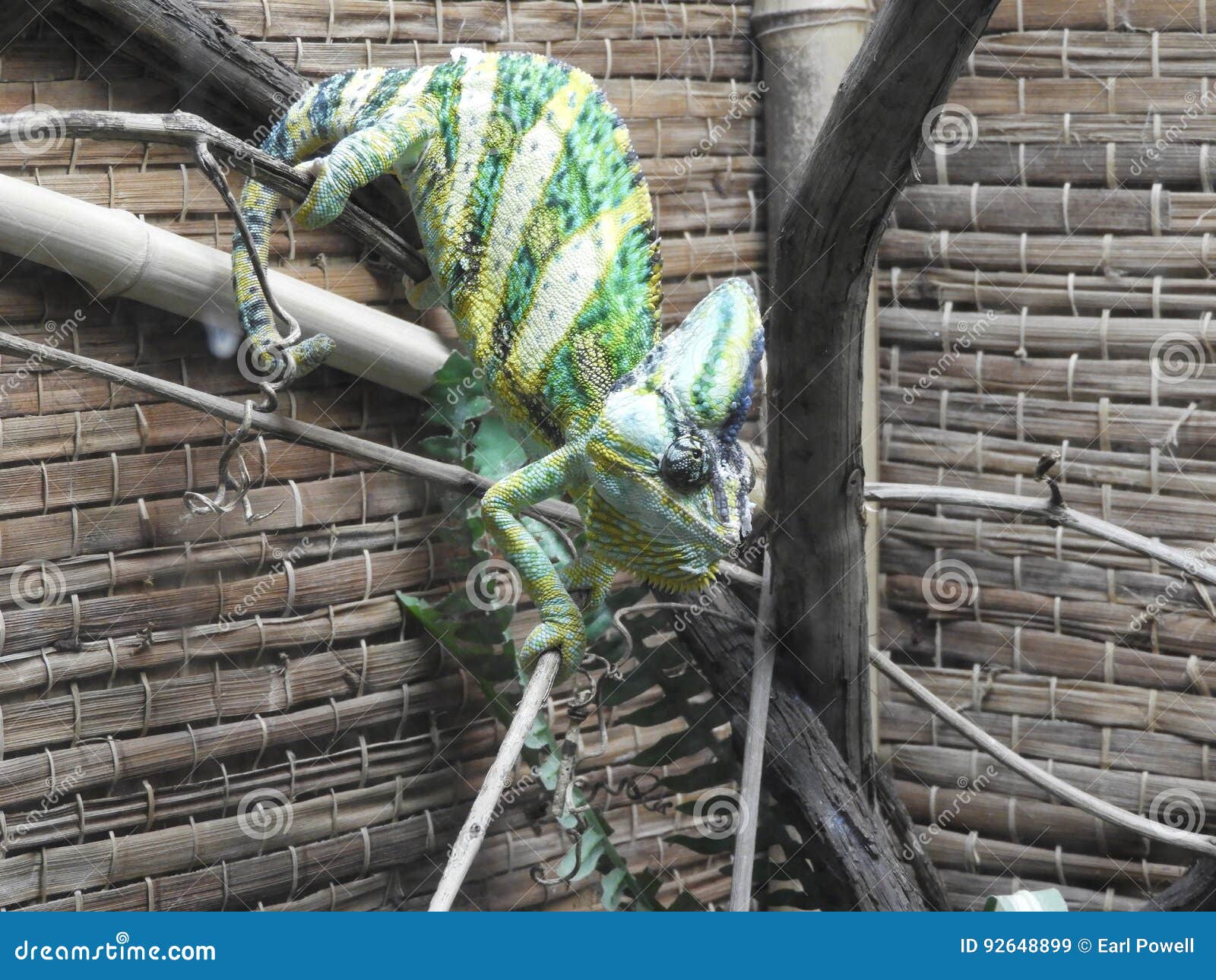 Keep Your Eyes on Your Path Stock Image - Image of night, heights: 92648899