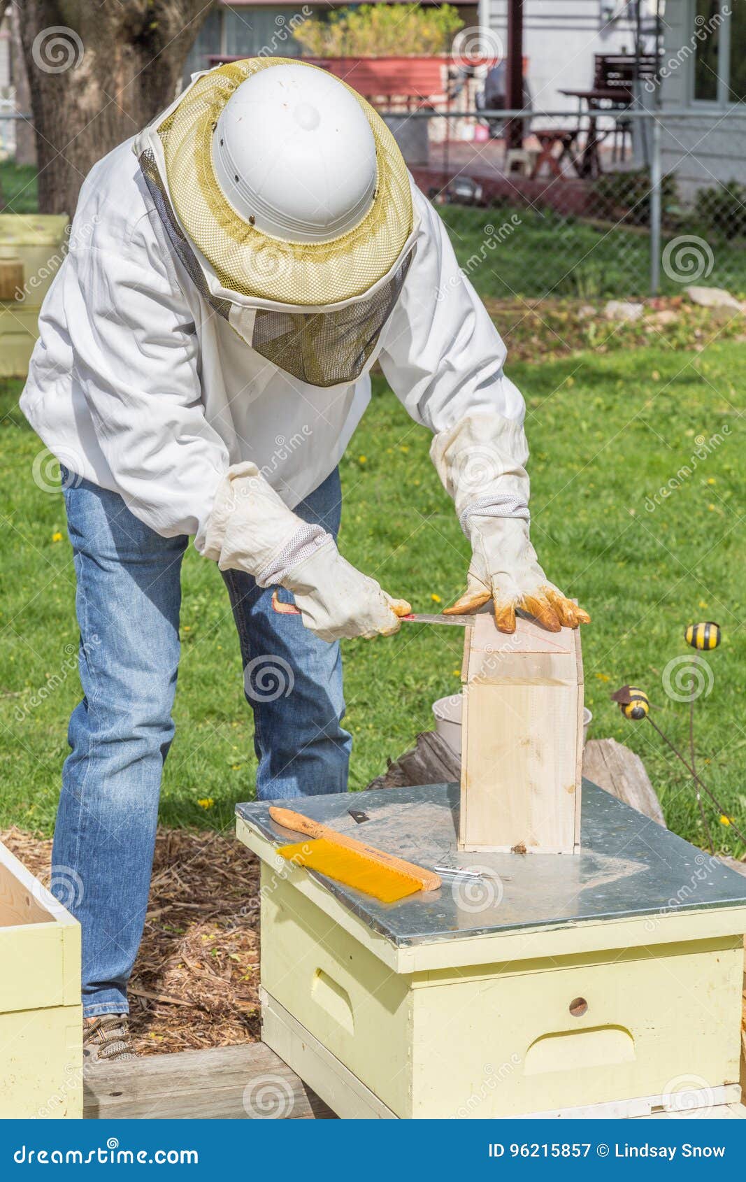 Keeping the Bees stock image. Image of busy, insects - 96215857