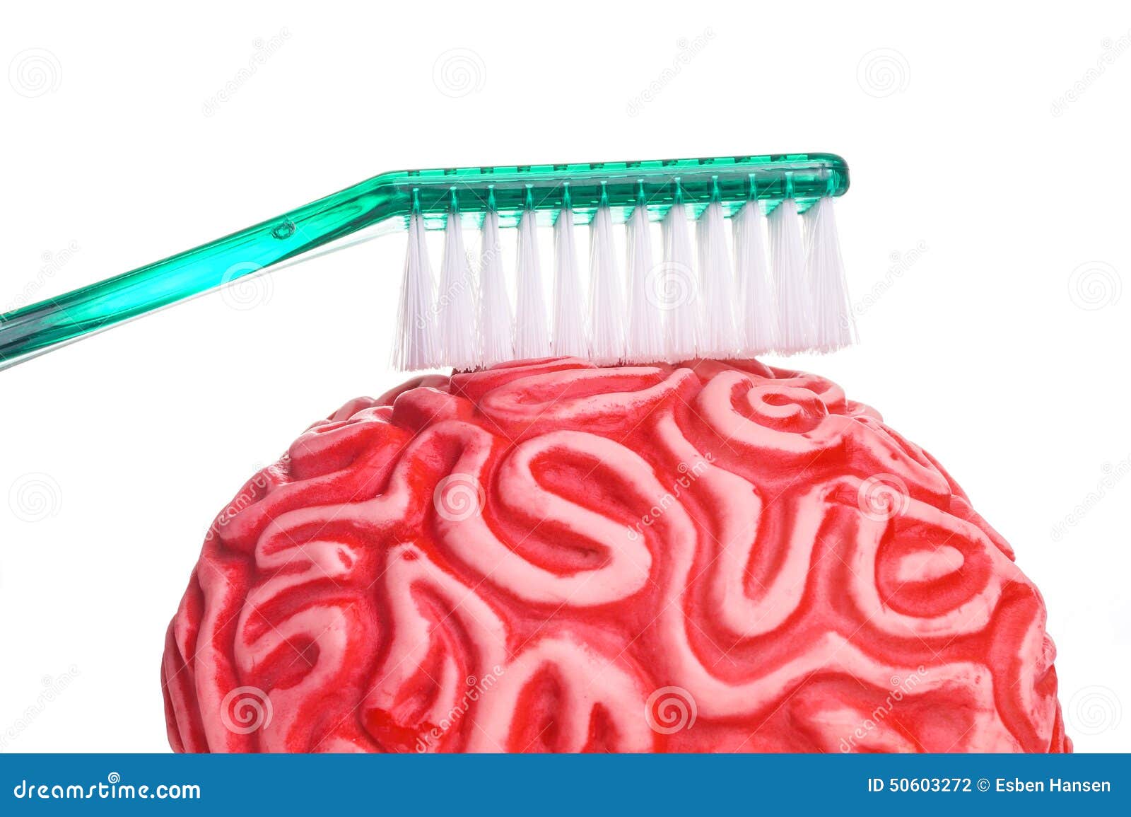 Keeping the Brain Clear and Sharp Stock Photo - Image of hygiene ...