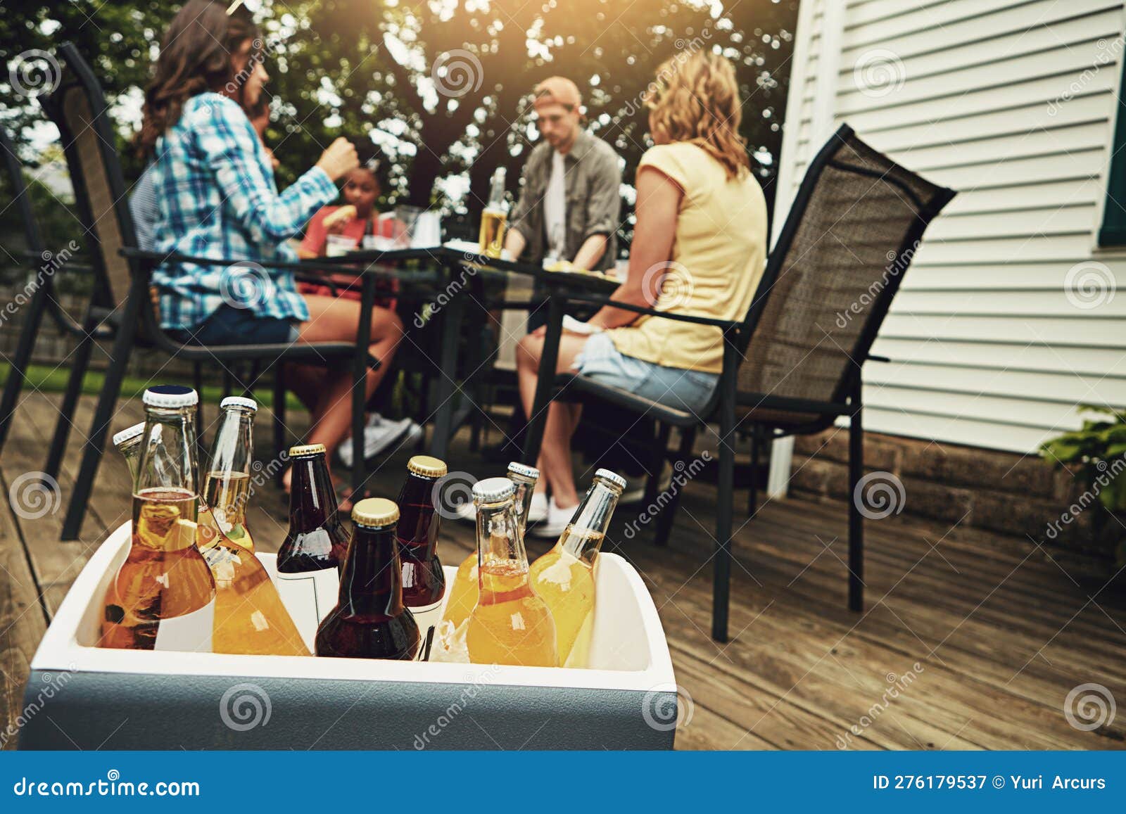 Keeping the Cold Ones Cold. a Group of Friends Having a Barbecue in the ...