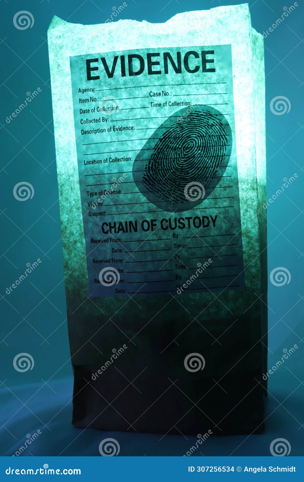 Keeping Evidence Safe in a Paper Crime Scene Bag Stock Photo - Image of ...
