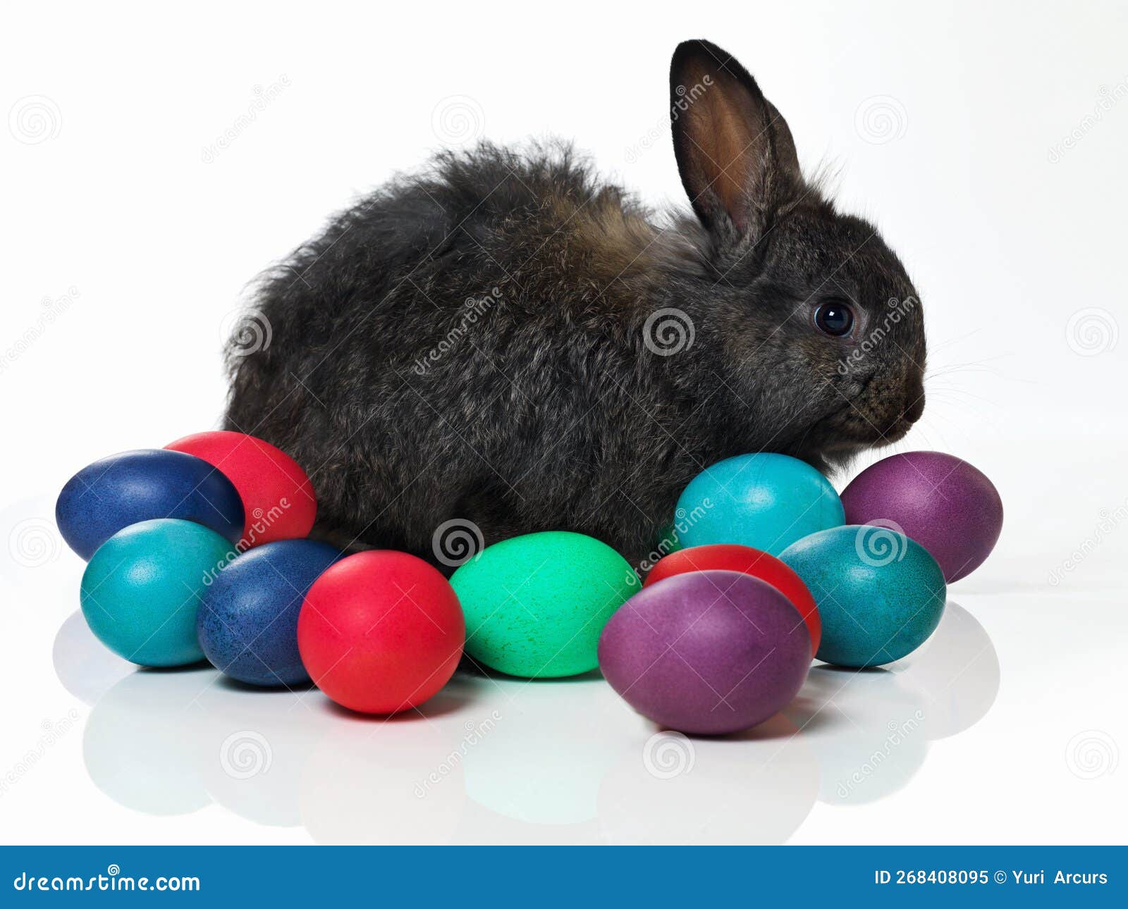 Keeping Them Warm until Easter Arrives. Studio Shot of a Cute Rabbit ...