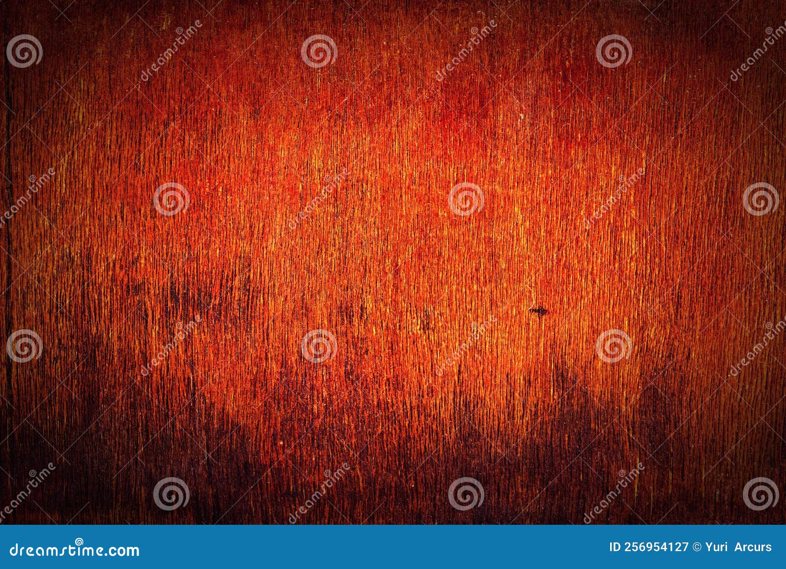 Keeping Things in, and Keeping Things Out. Closeup Shot of a Textured ...