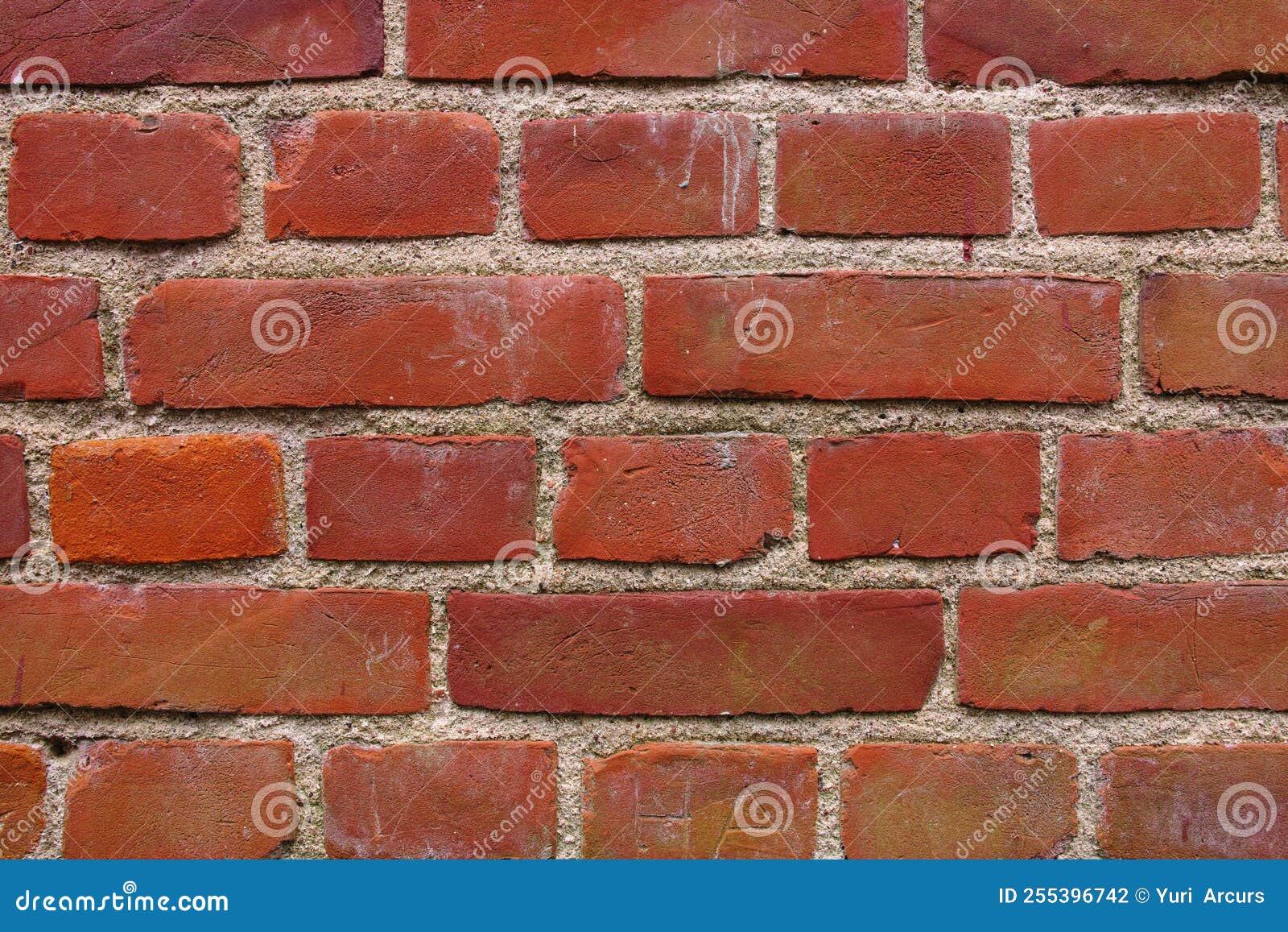 Keeping Things in, and Keeping Things Out. a Facebrick Wall. Stock ...