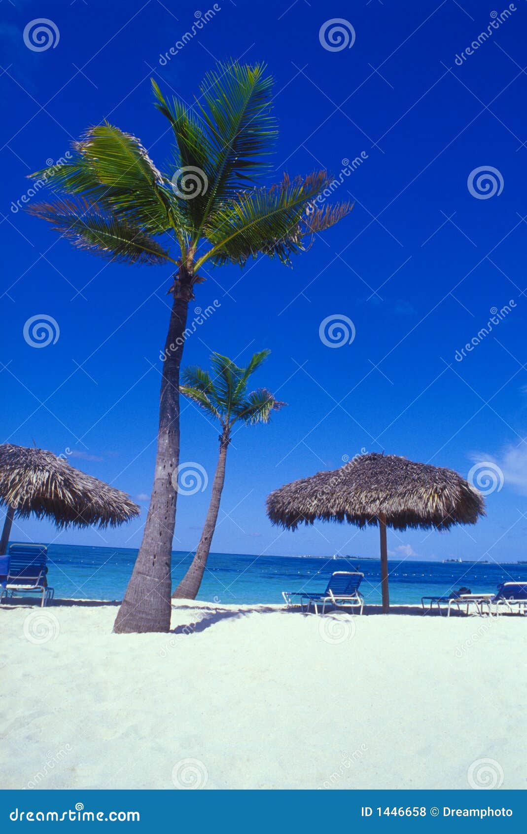 Keerkringen 02 Van De Bahamas Stock Foto - Image of lagune, strand: 1446658