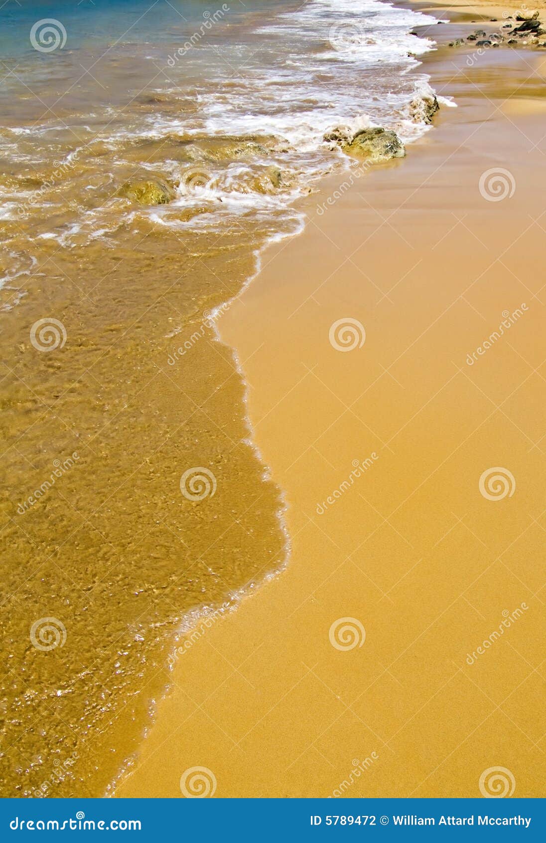 Keerkringen stock foto. Image of nave, reis, paradijs - 5789472