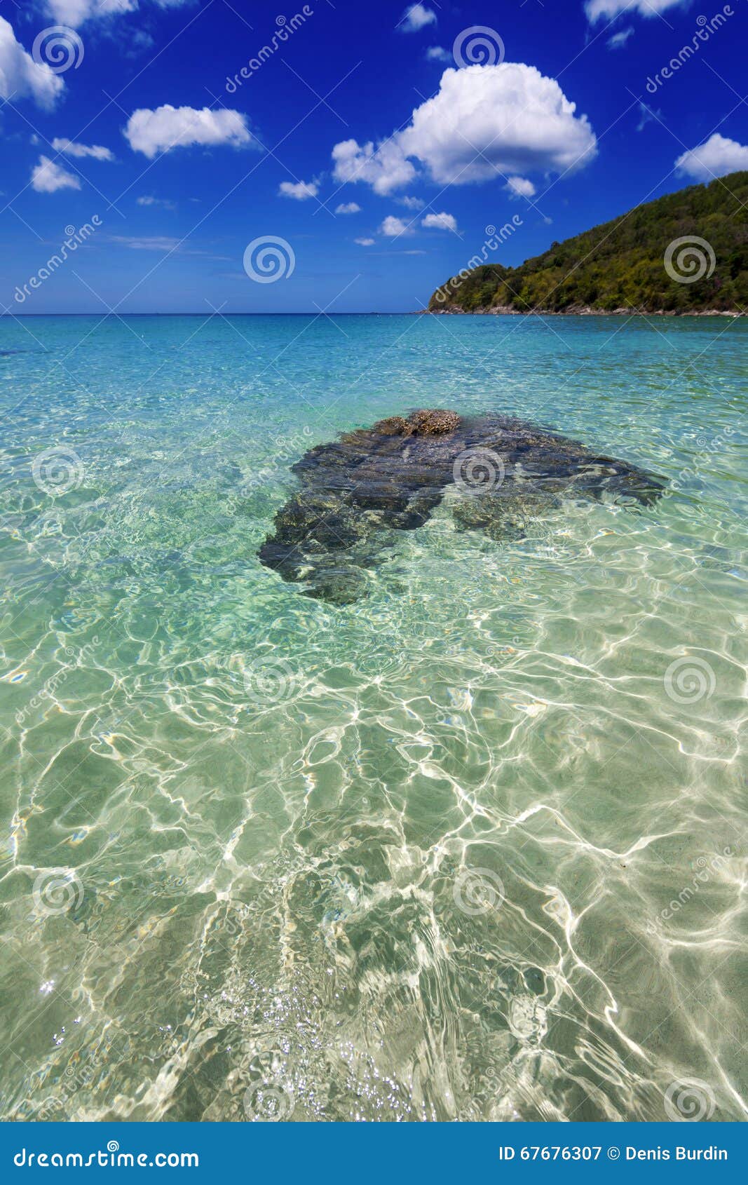 Keerkringen stock afbeelding. Image of ontruim, paradijs - 67676307