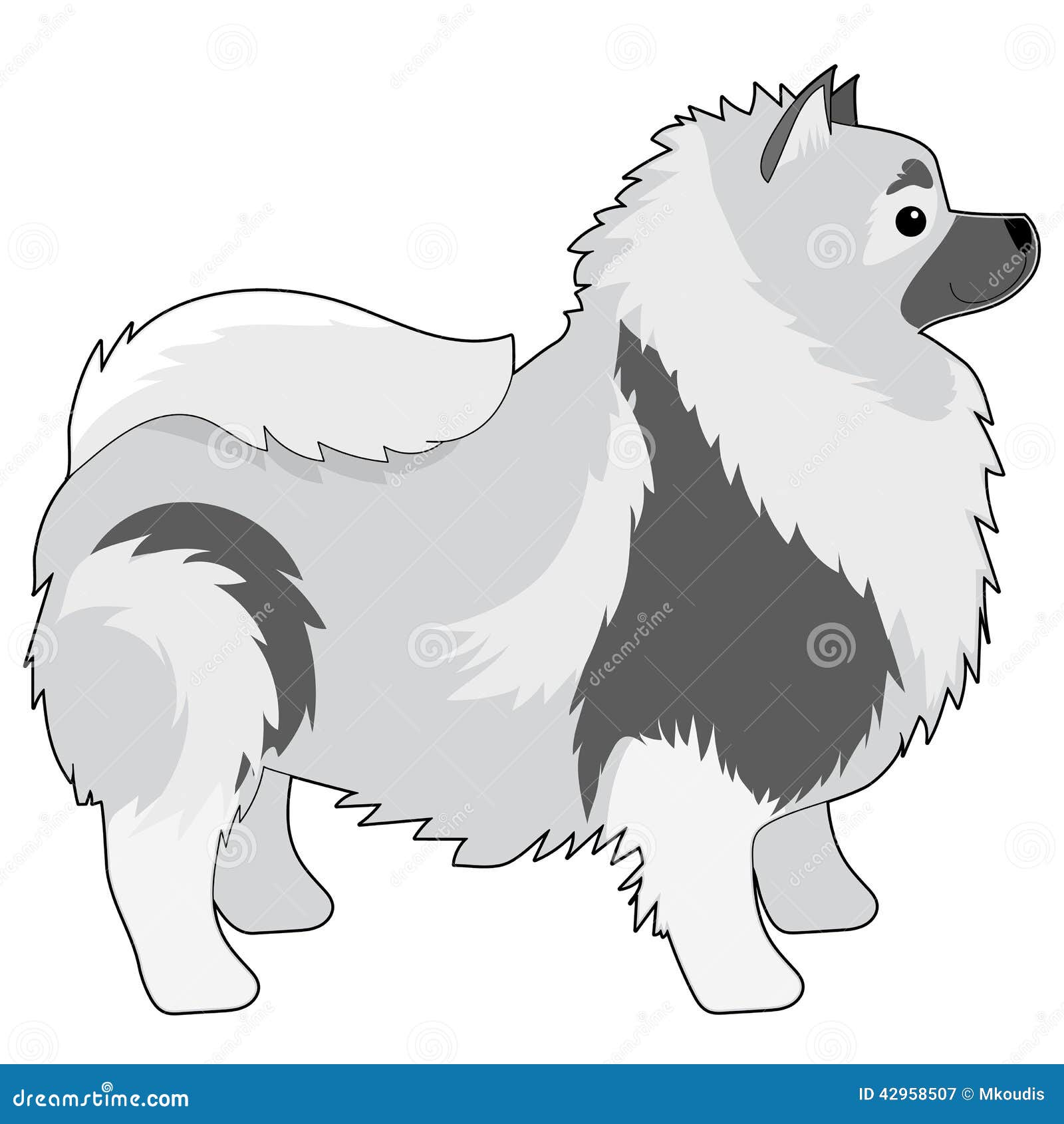 Keeshond stock vector. Illustration of puppy, hound, breed - 42958507