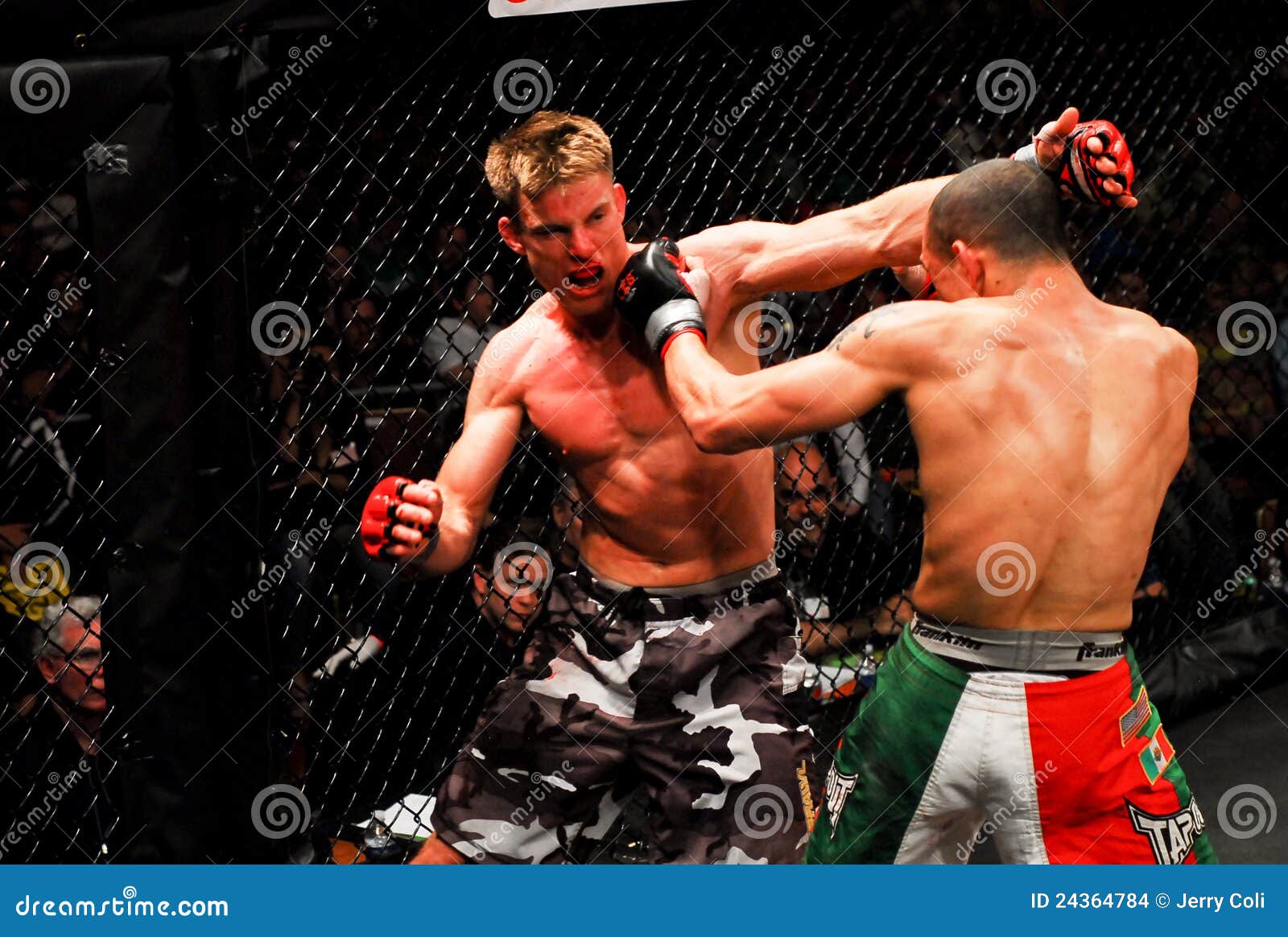 Mixed Martial Fighters On The Ground Of Arena During Competition. MMA ...