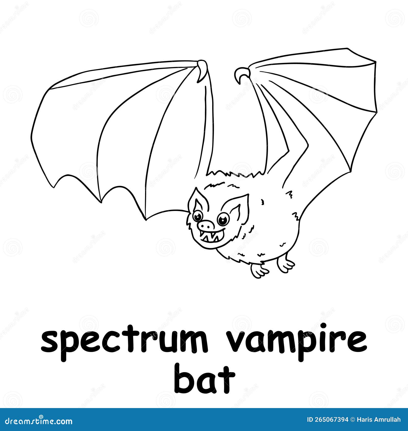 Kids Line Illustration Coloring Spectrum Vampire Bat. Outline Vector ...