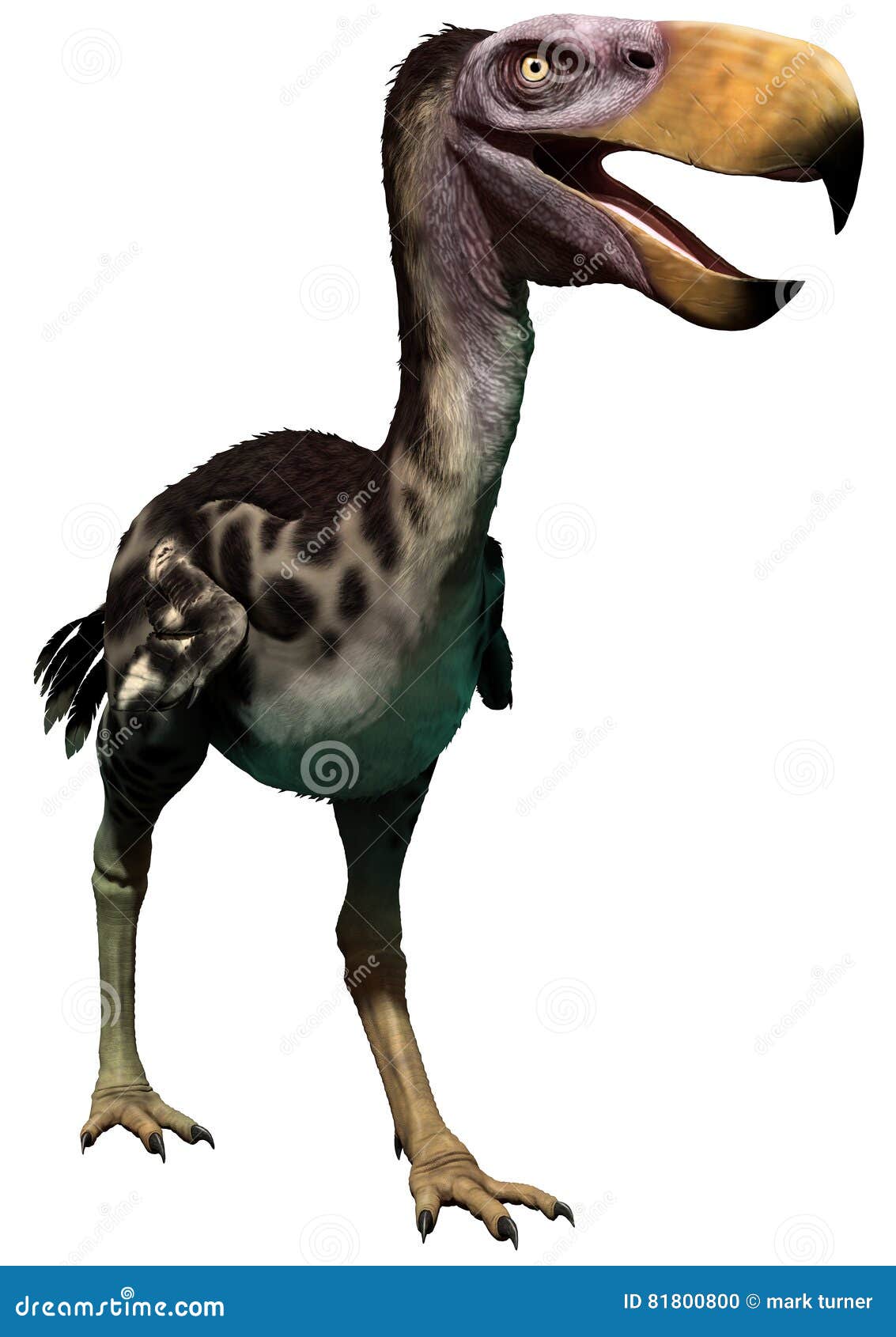 Kelenken stock illustration. Illustration of kelenken - 81800800