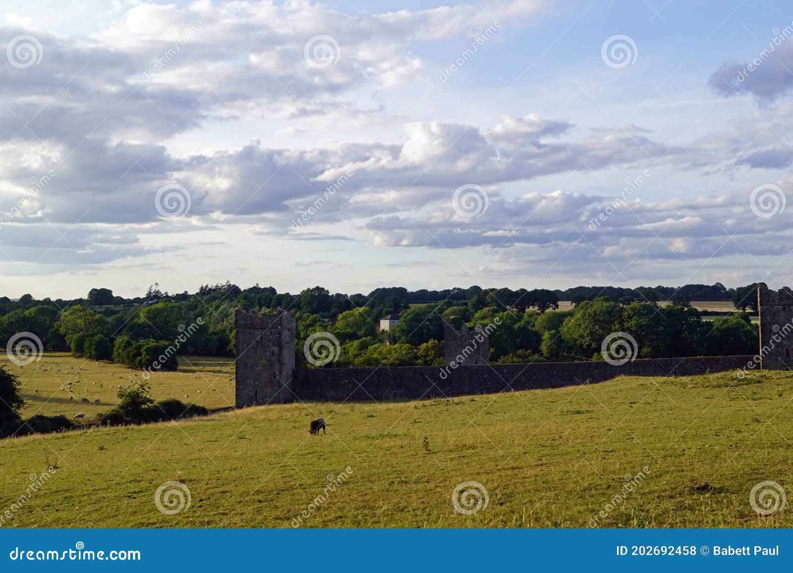 Kells Priory Ireland stock photo. Image of monument - 202692458