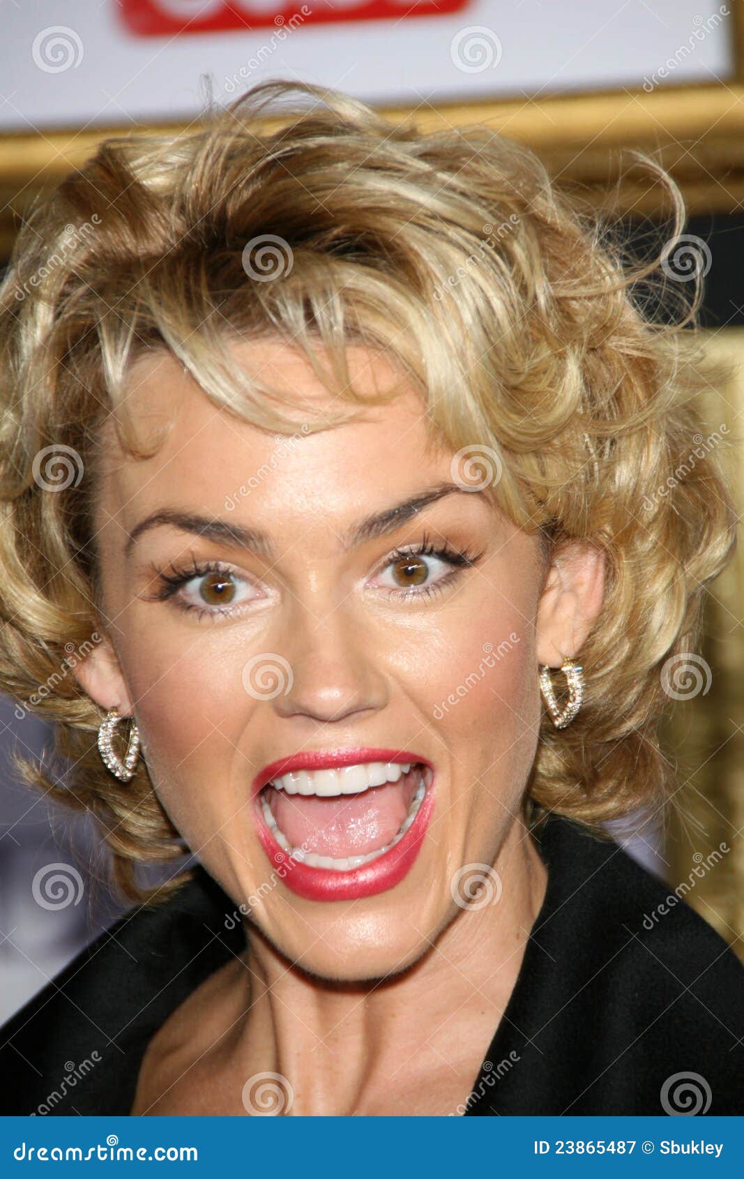 Kelly Carlson editorial photography. Image of 2007, guide - 23865487