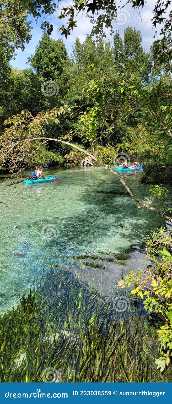 Kelly Rock Spring Orlando Florida Image stock éditorial - Image du ...