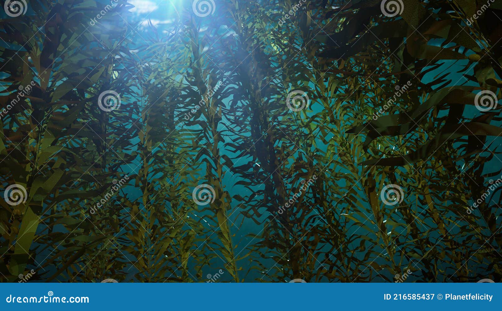 Kelp Forest, Giant Algae Seaweed Stock Image - Image of fish, seaweed ...