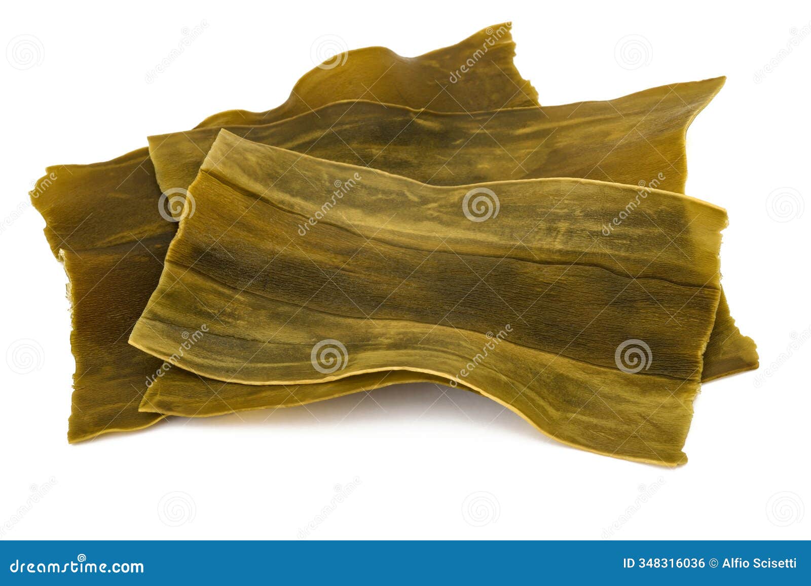 Kelp konbu stock photo. Image of edible, kombu, japanese - 348316036
