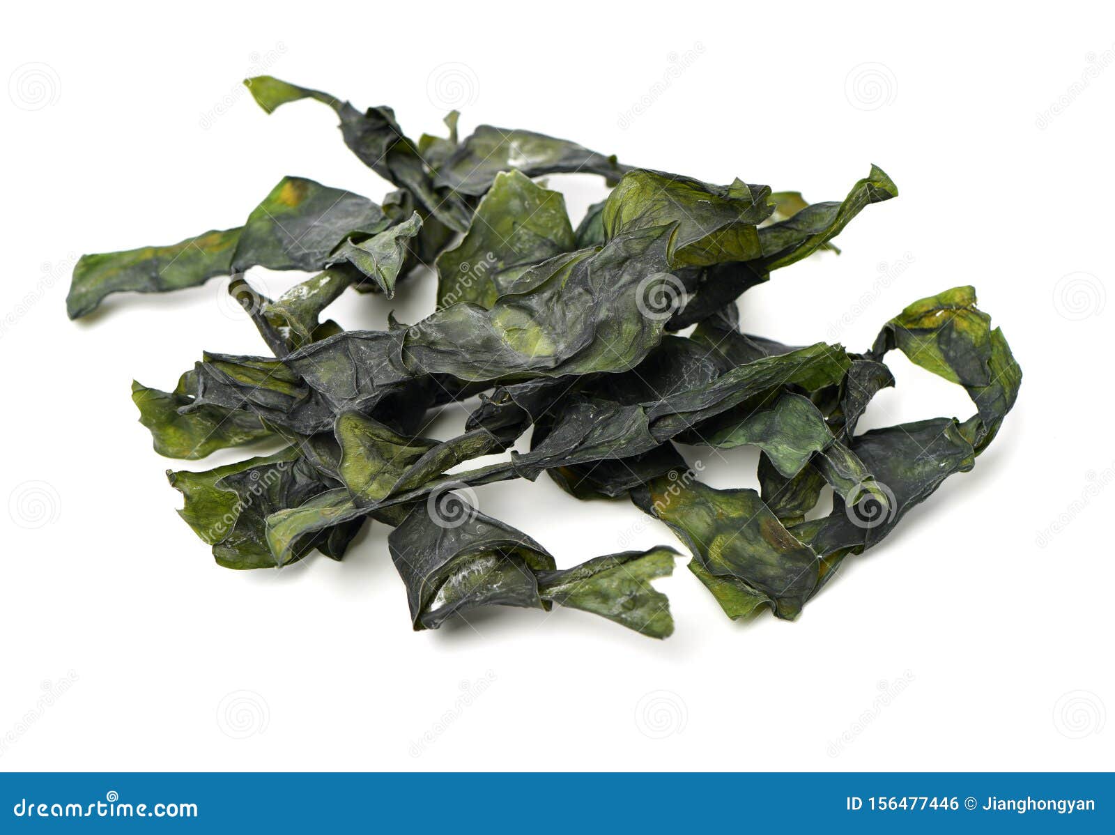 Kelp on white background stock photo. Image of alga - 156477446