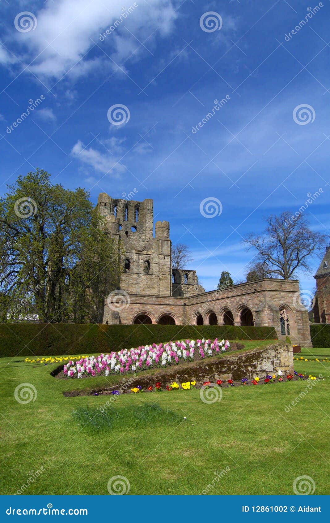 Kelso Abbey, Borders, Scotland Stock Photo - Image of flower, heritage ...